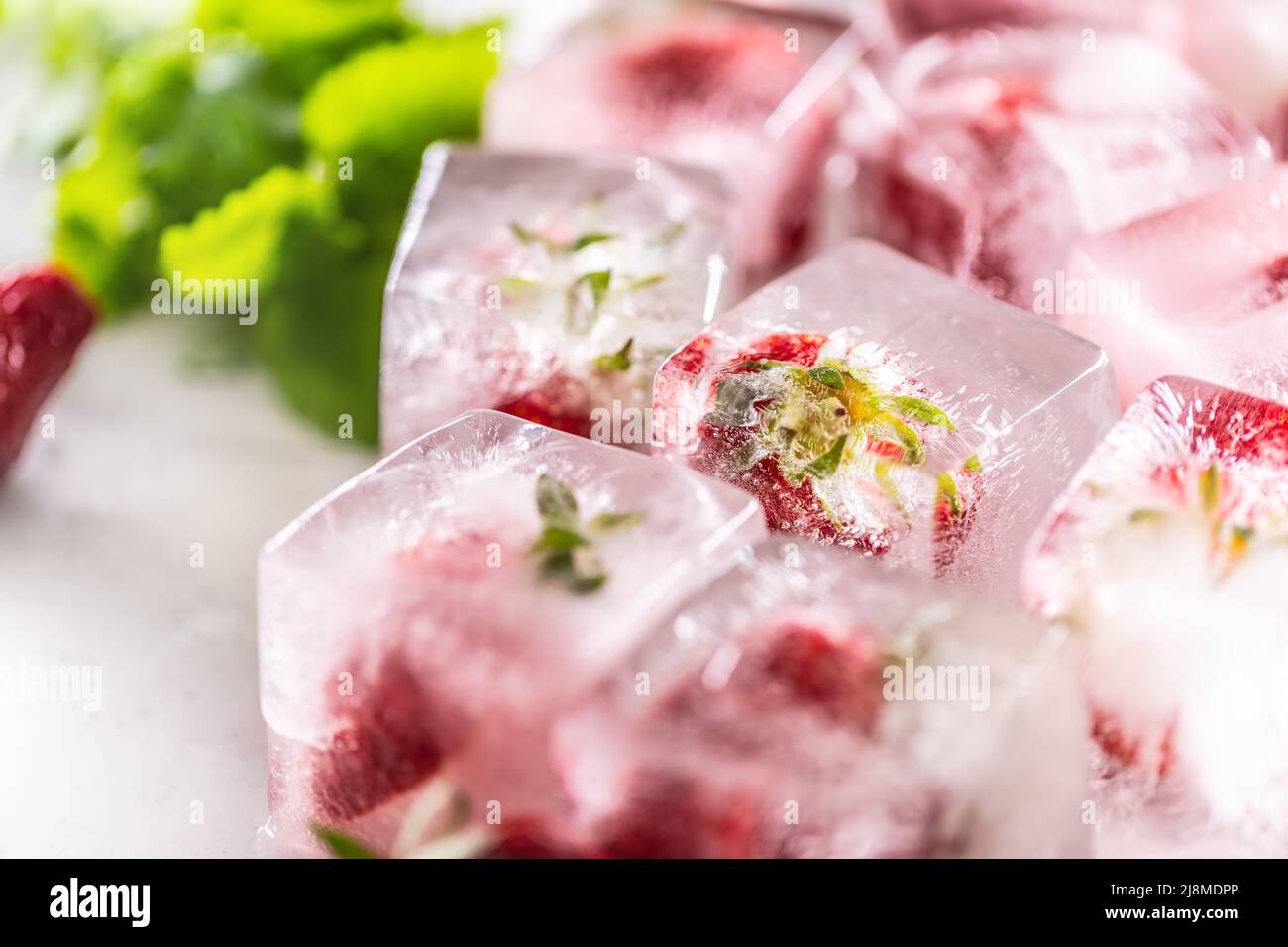 Fresh strawberries frozen in ice blocks with melissa leaves Stock Photo ...