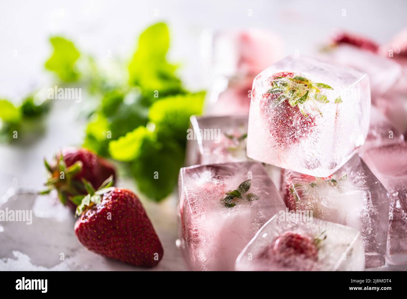 Fresh strawberries frozen in ice blocks with melissa leaves Stock Photo ...