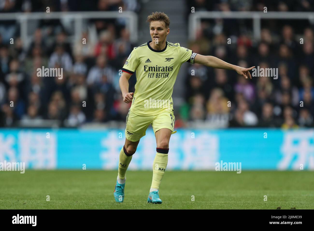 Martin Ødegaard #8 of Arsenal gestures and reacts during the game Stock ...