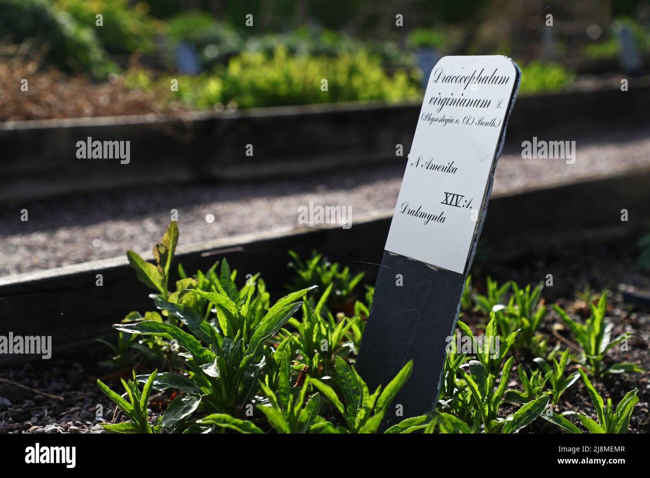 The Linnaeus Garden is a botanical garden at Svartbäcksgatan in Uppsala ...