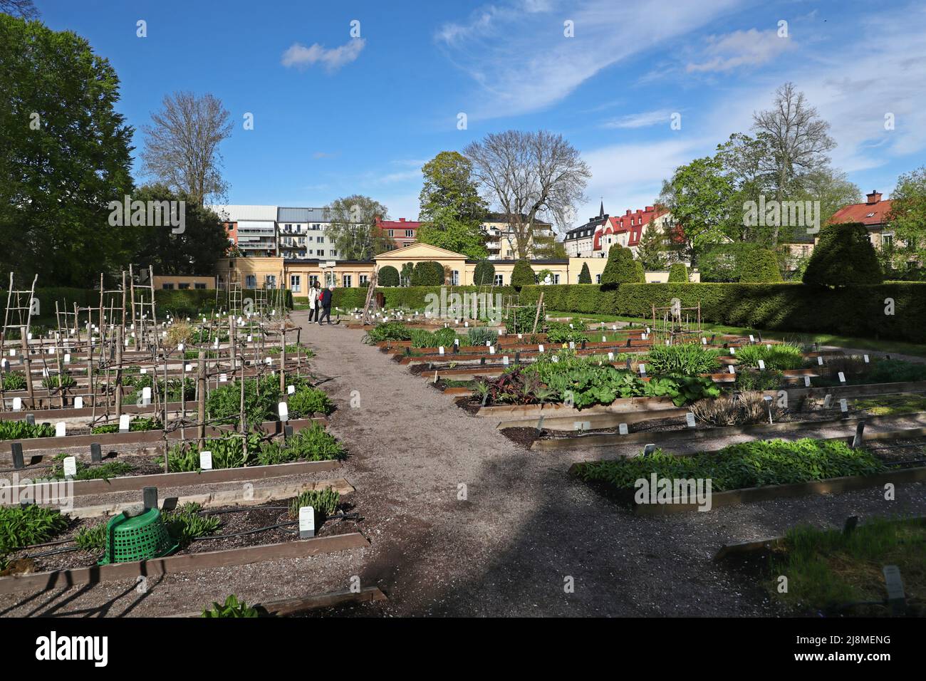 The Linnaeus Garden is a botanical garden at Svartbäcksgatan in Uppsala ...