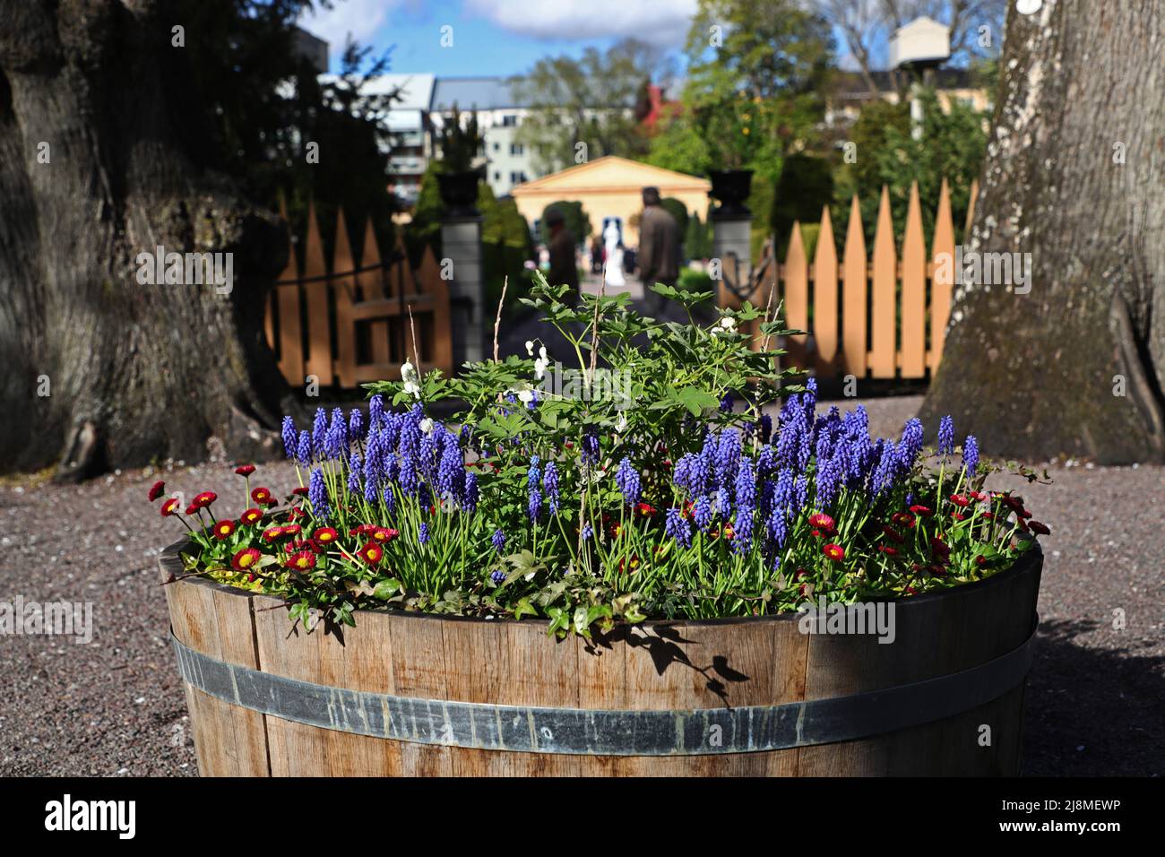 The Linnaeus Garden is a botanical garden at Svartbäcksgatan in Uppsala ...