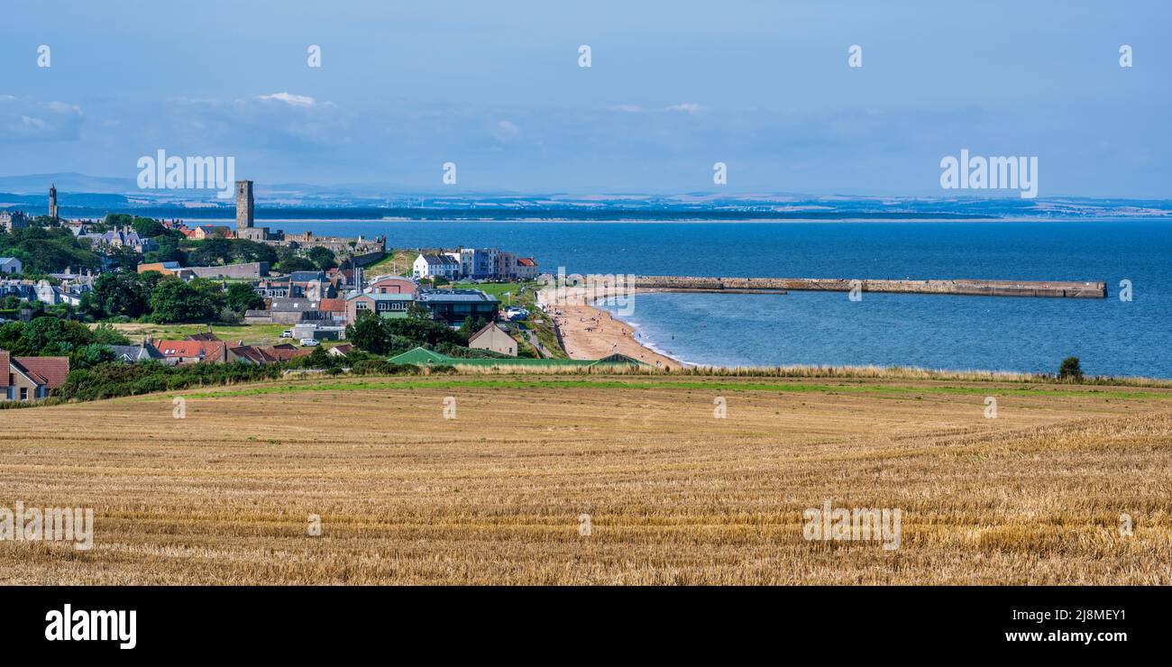 Panoramic view across stubble field to East Sands beach, pier and coast ...