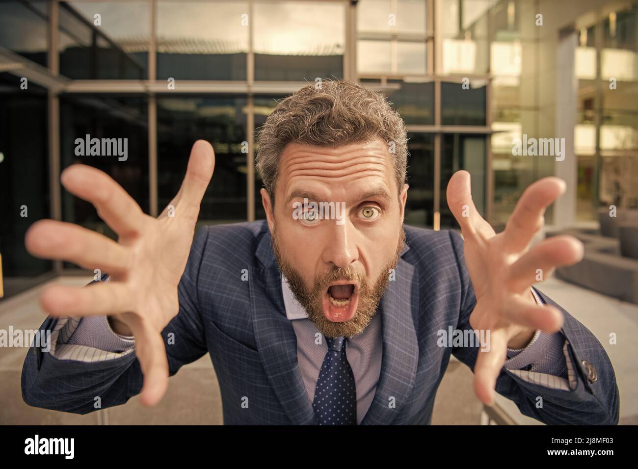 angry mature business man in formalwear shouting and gesturing, stress ...