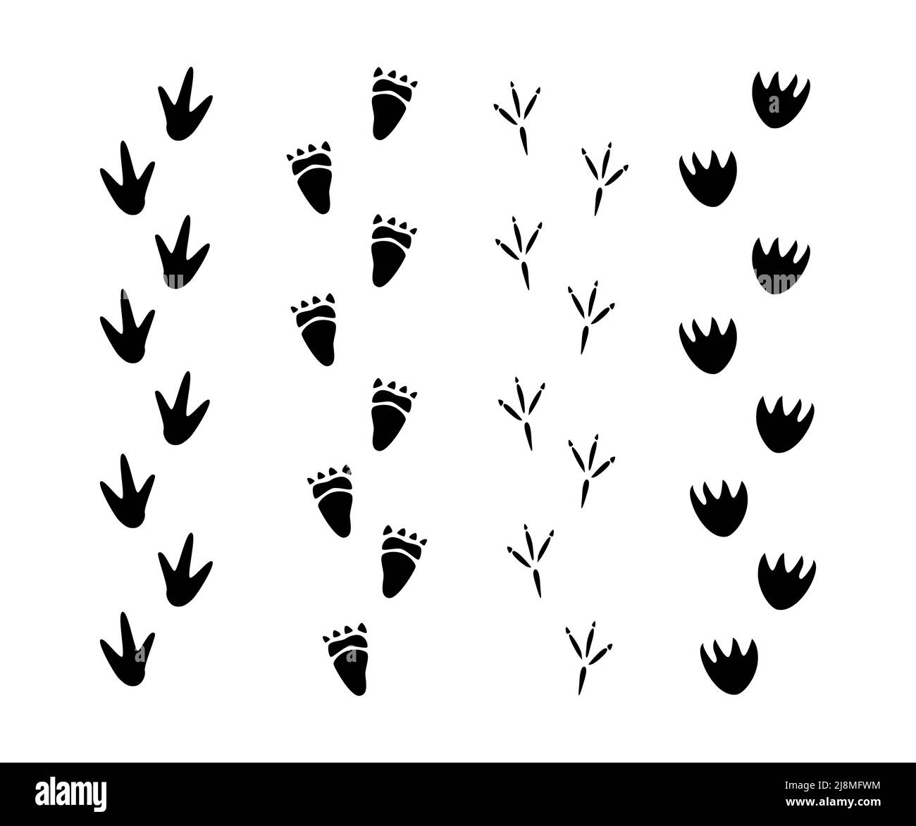 Set of Dinosaur footprint Stock Vector Image & Art - Alamy