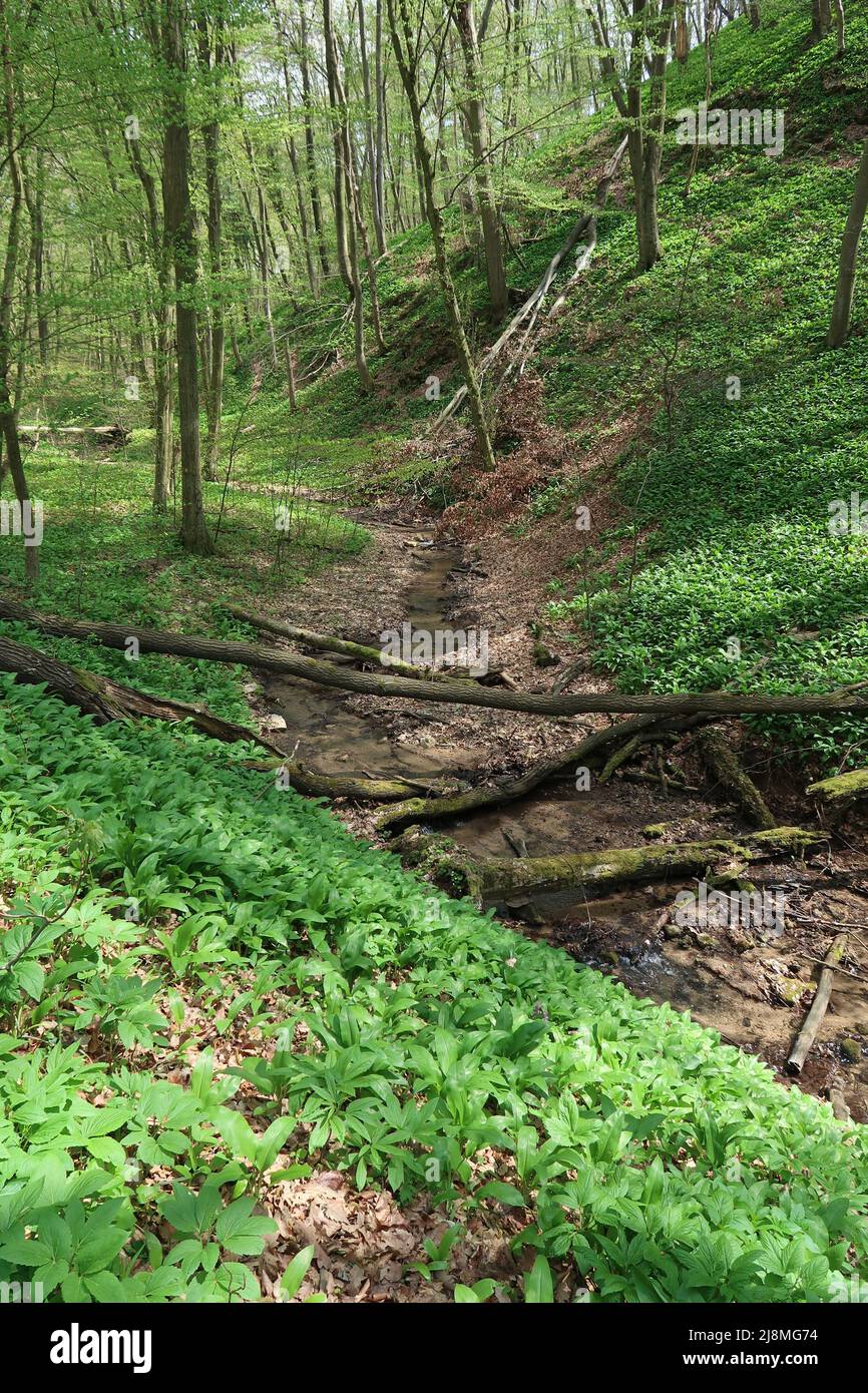 Nagy mely valley hi-res stock photography and images - Alamy