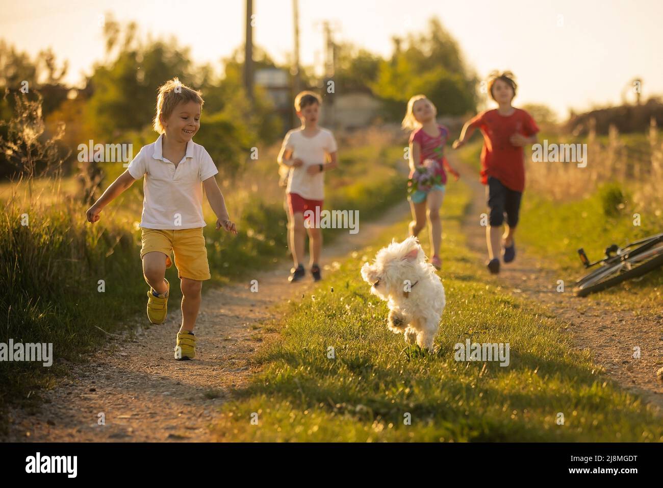 Happy dog running summer kids hi-res stock photography and images - Alamy