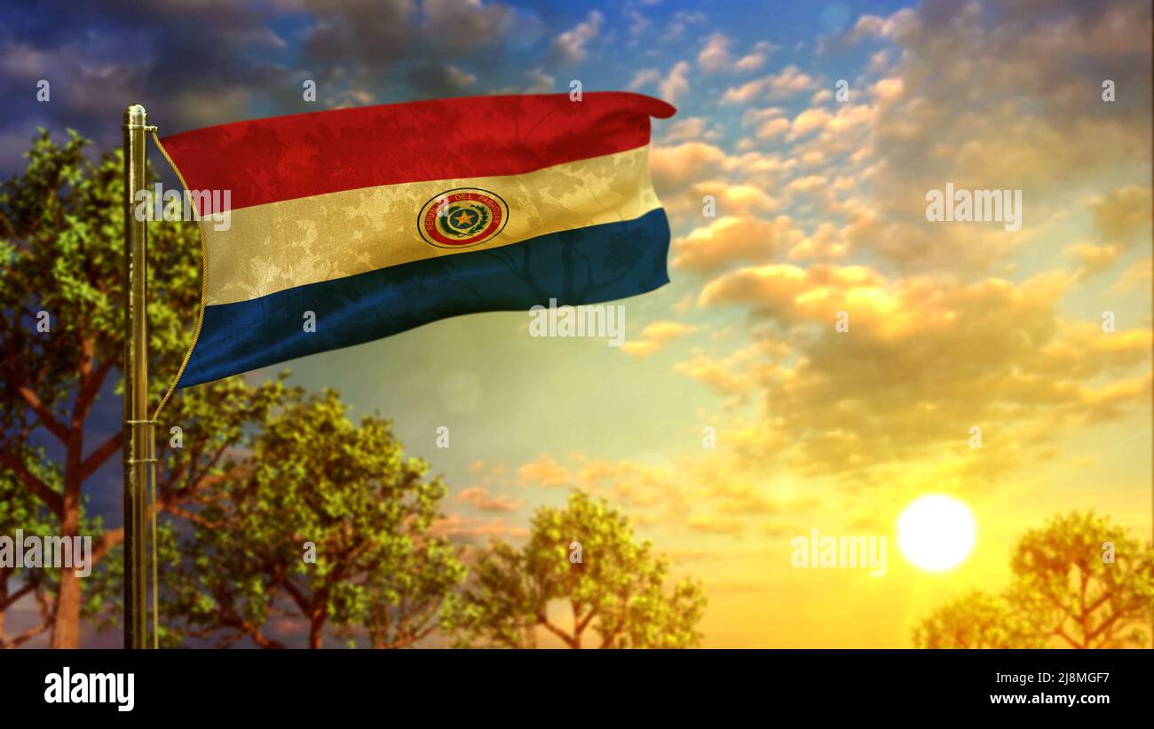 Waving flag of paraguay hi-res stock photography and images - Alamy