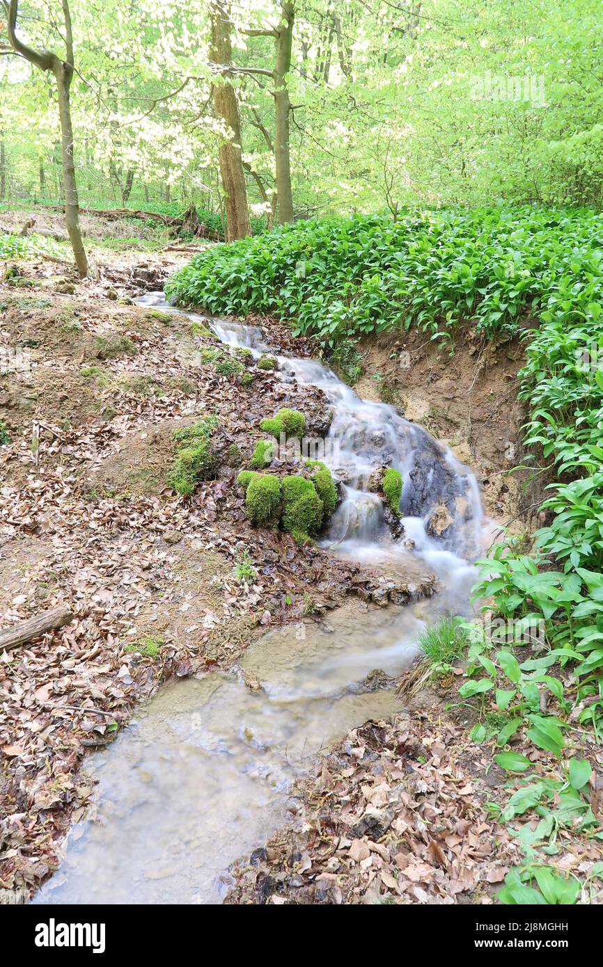 Waterfall in Mecsek hills near Pecs, Hungary Stock Photo - Alamy