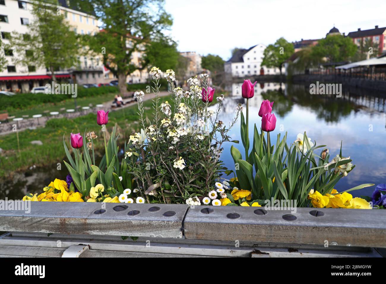 Daily life in Uppsala, Sweden, during Saturday. Here you can see ...