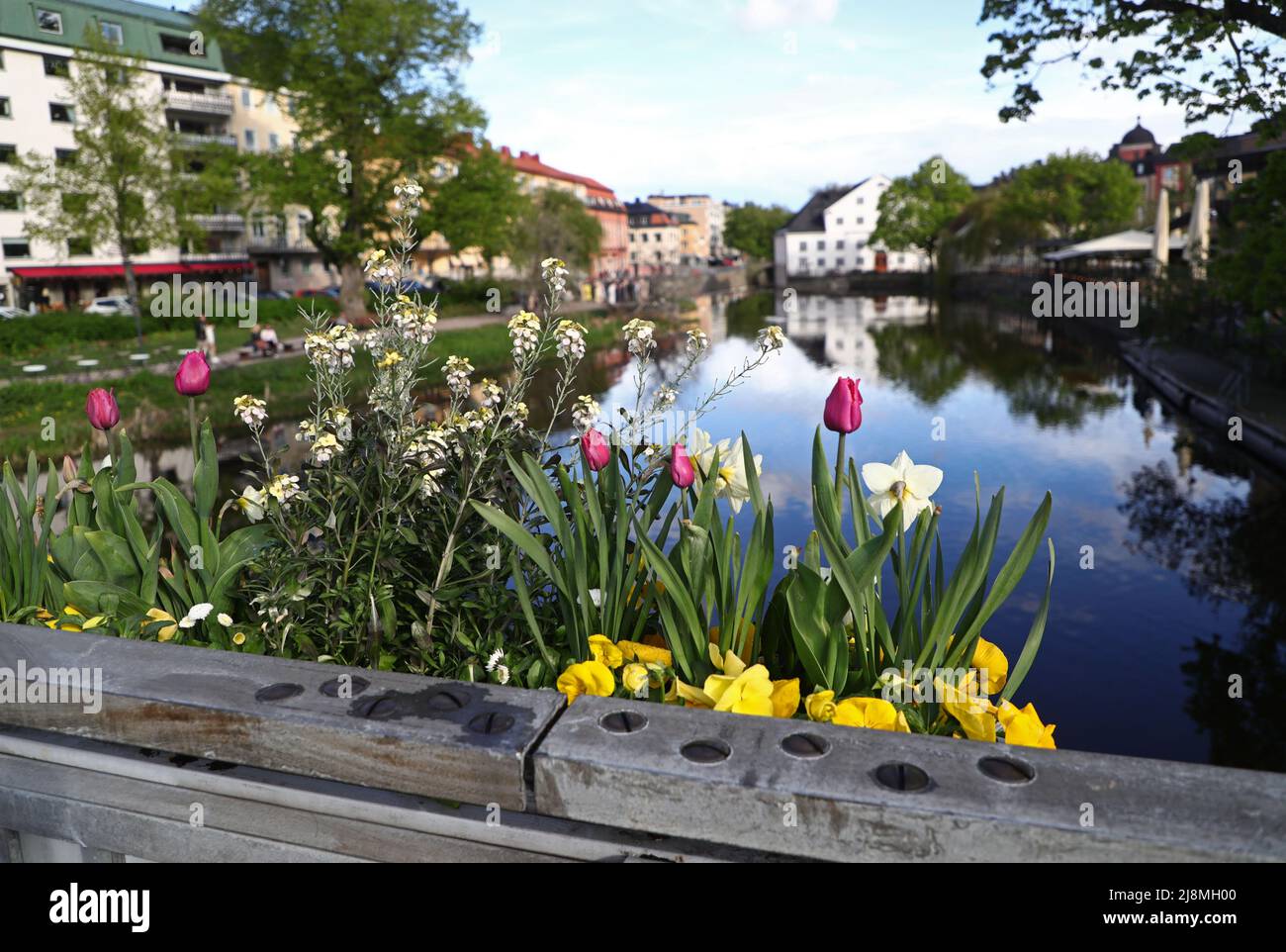 Daily life in Uppsala, Sweden, during Saturday. Here you can see ...