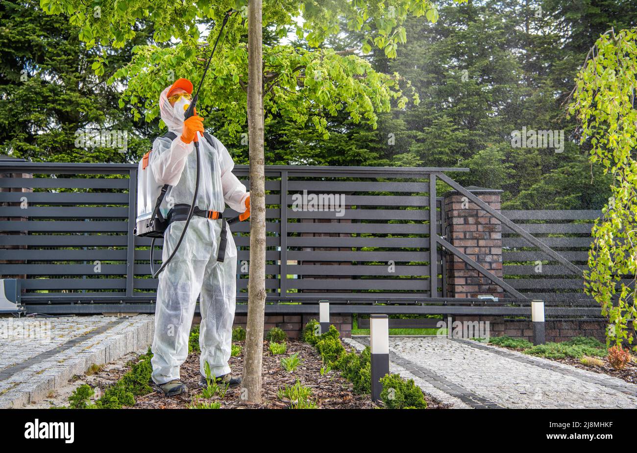 Backyard Garden Trees Insecticide Performed by Professional Gardener ...