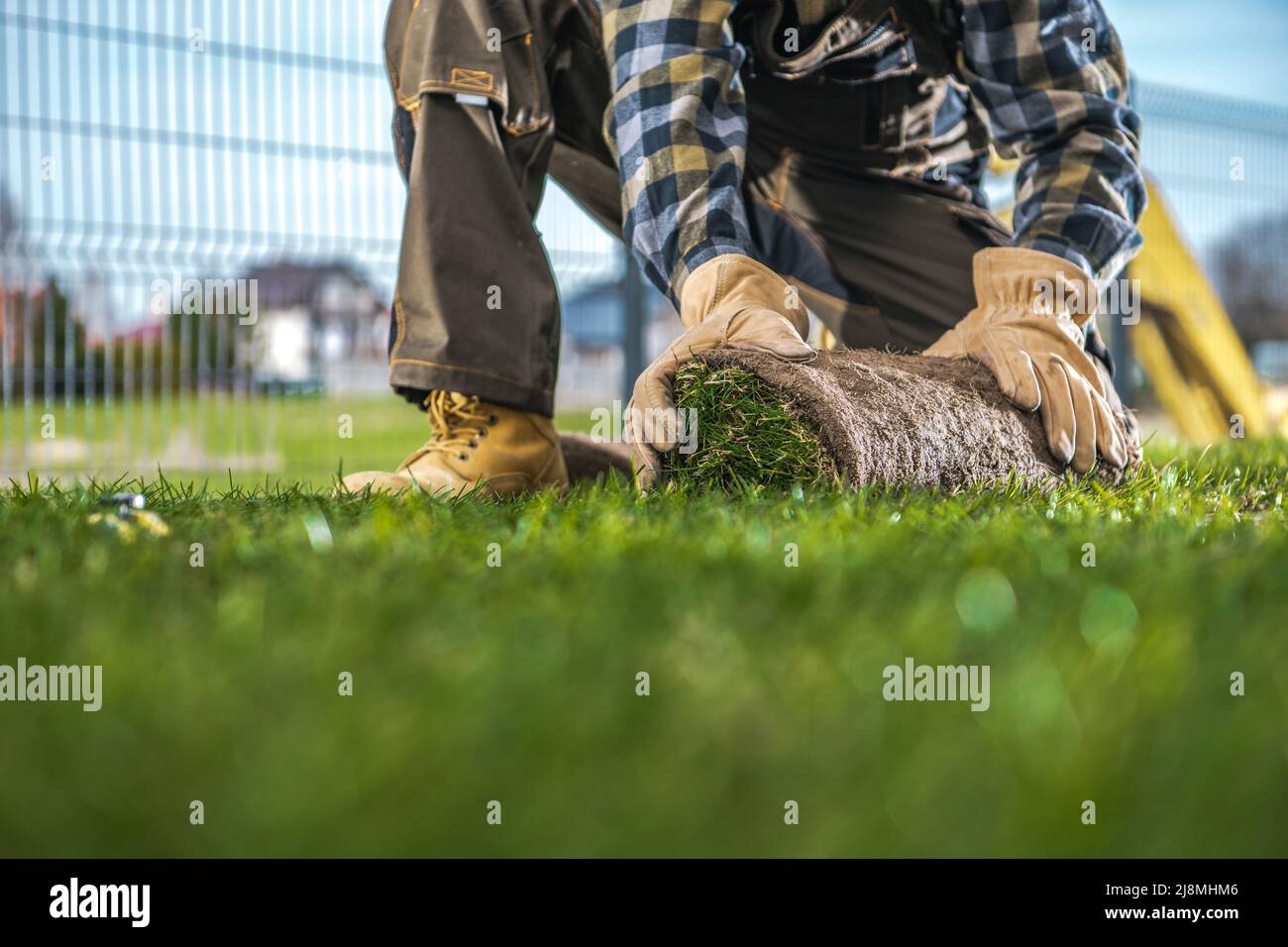 Caucasian Landscaper or Gardener Rolling Over Natural Grass Turf in a ...