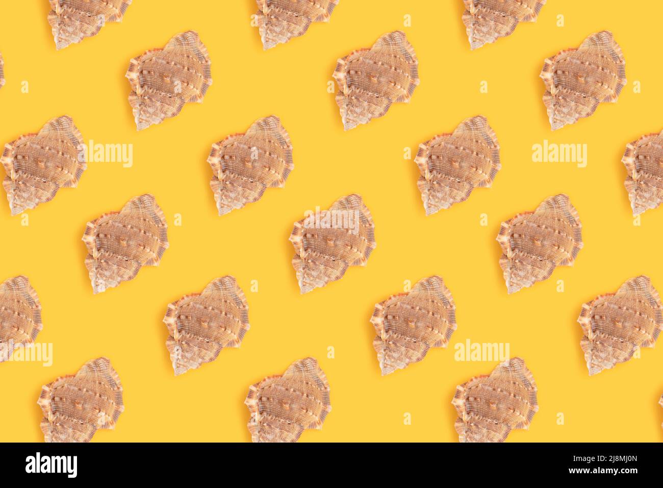 Repetitive pattern made from seashells. Creative layout on a yellow ...