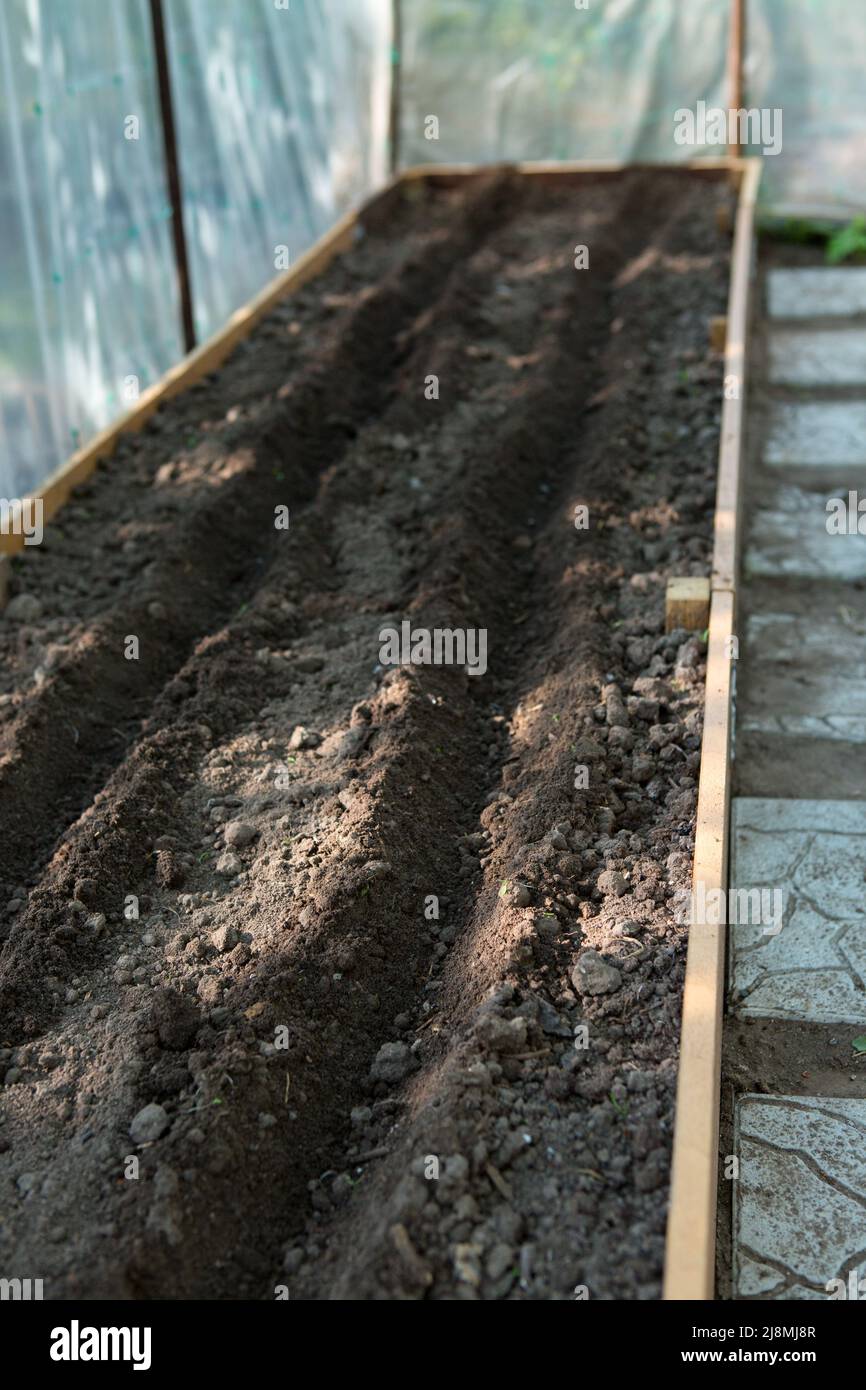 Prepared seed bed hi-res stock photography and images - Alamy