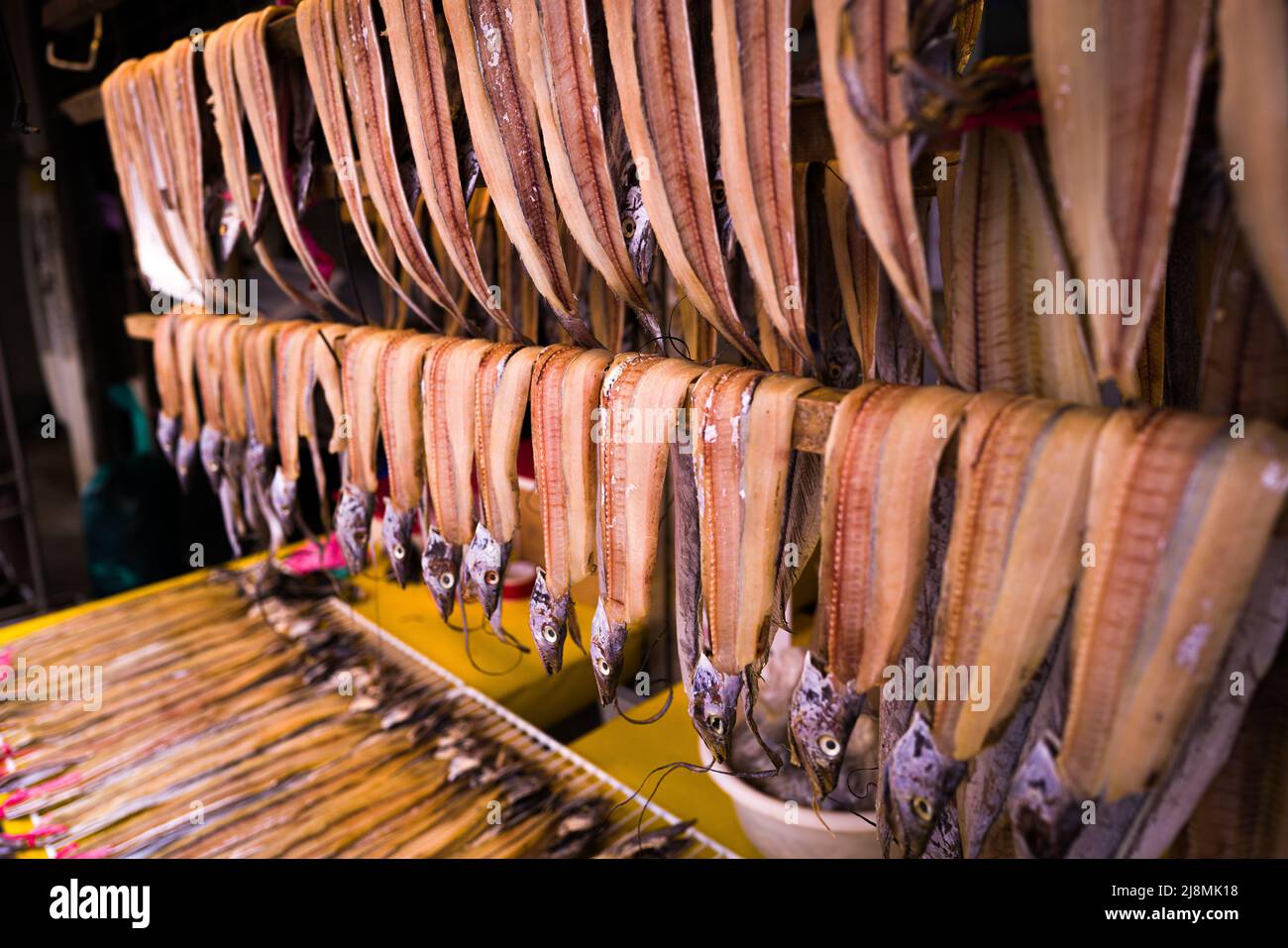 Dried barracuda hi-res stock photography and images - Alamy
