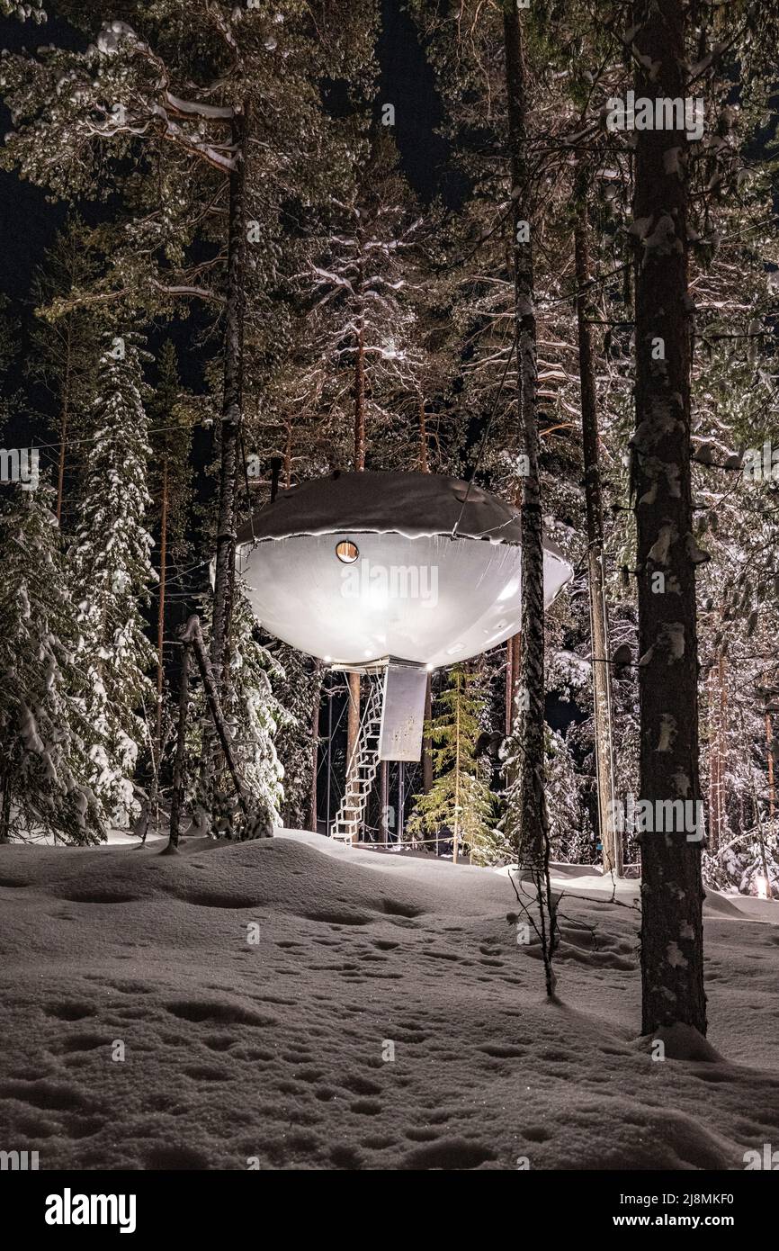 Futuristic UFO shaped room for tourists suspended among tall trees in ...