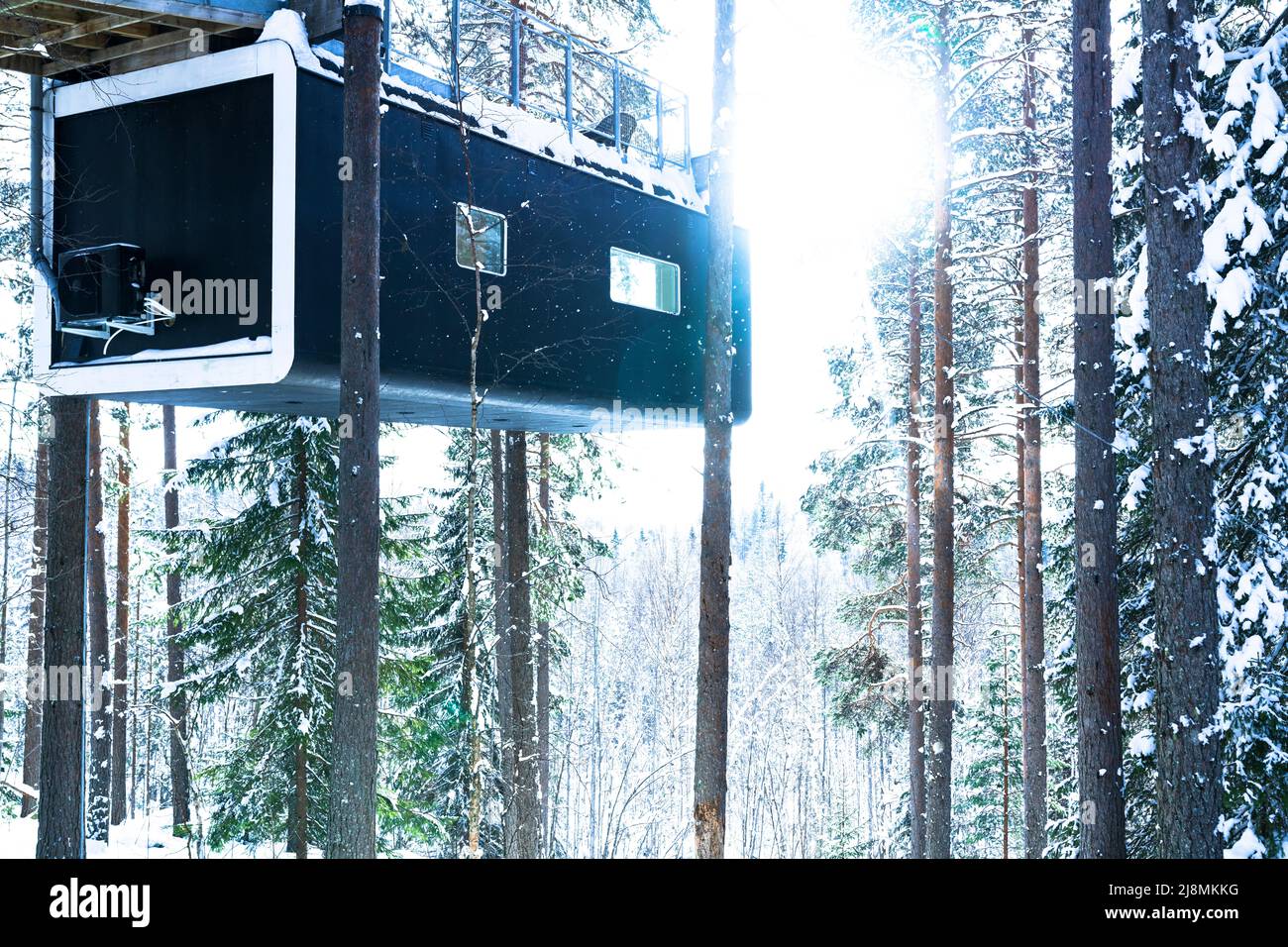 Cottage for tourists in shape of a cube nestled among tall trees in ...