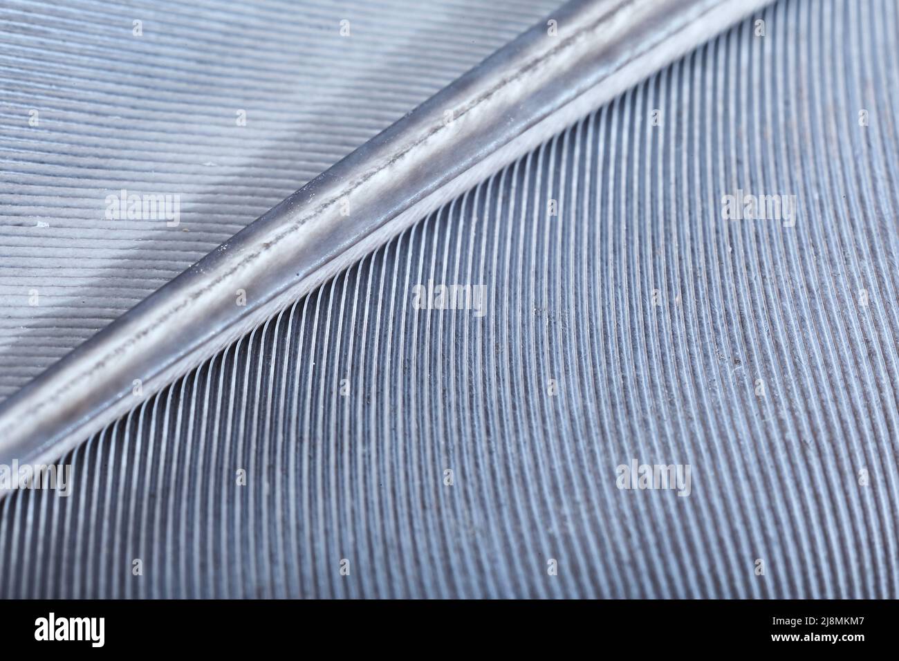 Fragile pattern hi-res stock photography and images - Alamy