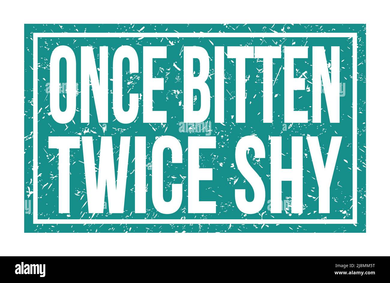 ONCE BITTEN TWICE SHY, words written on blue rectangle stamp sign Stock ...