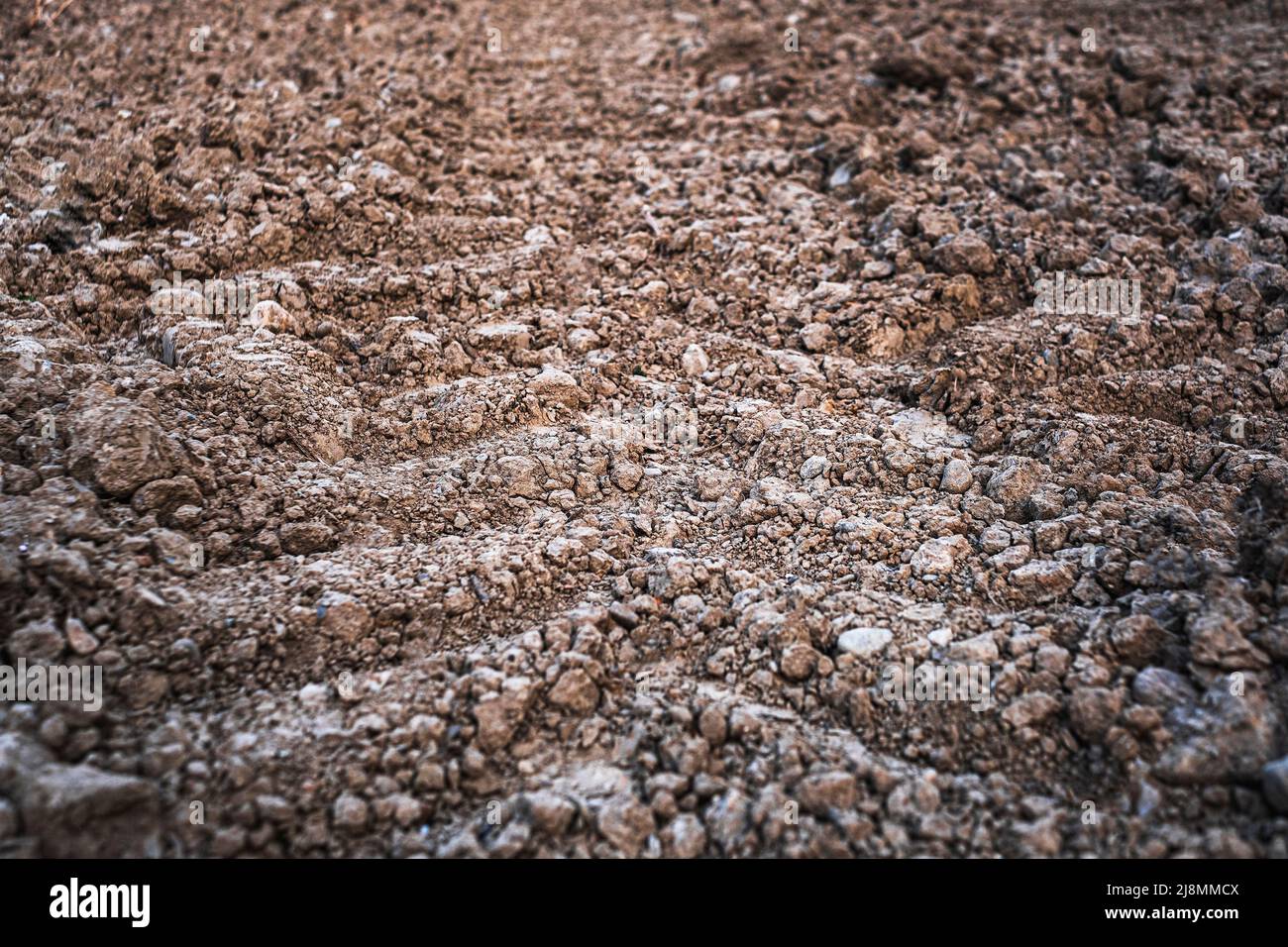 Brown plowed soil texture background.Close up. Fertile land Stock Photo ...