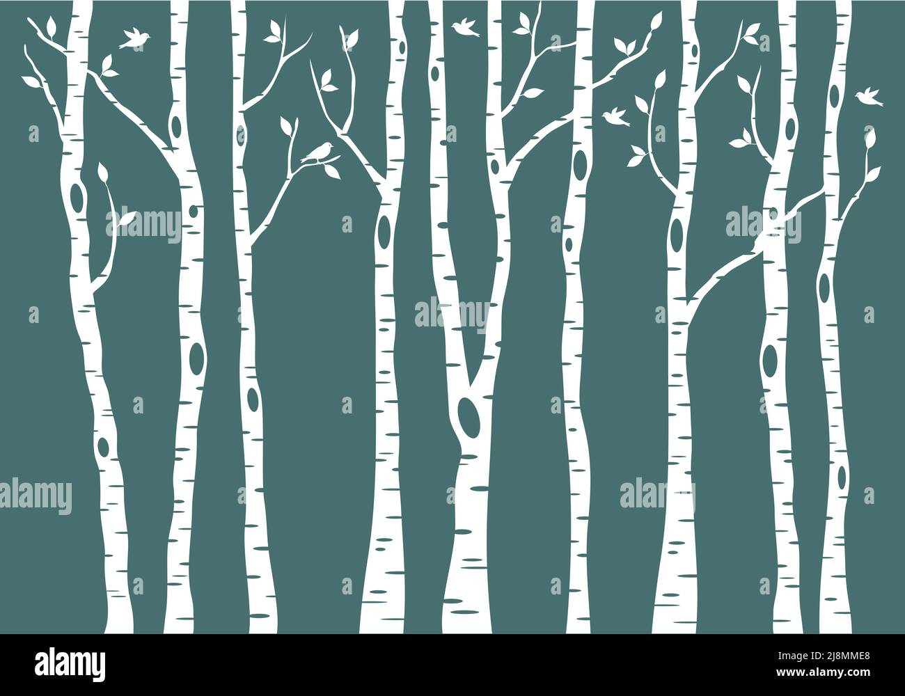 birch tree forest with birds, vector illustration on teal green ...