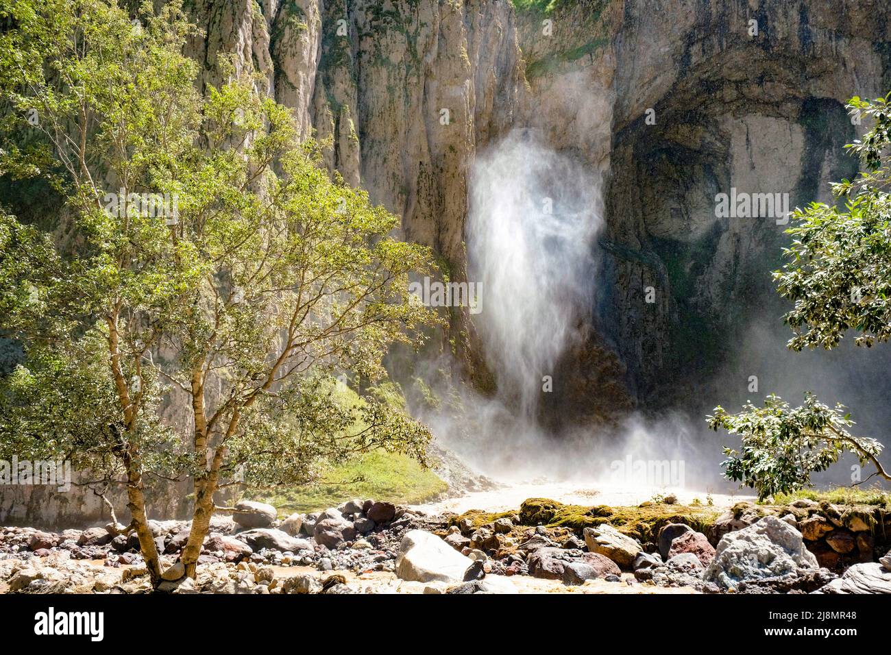 Mysterious waterfall and big tree in the mountains Stock Photo - Alamy
