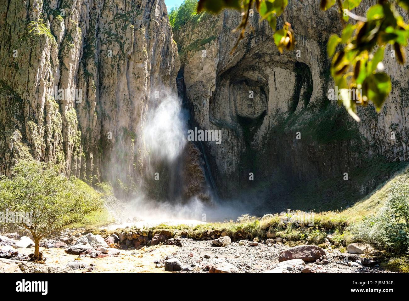 Mysterious waterfall and big tree in the mountains Stock Photo - Alamy