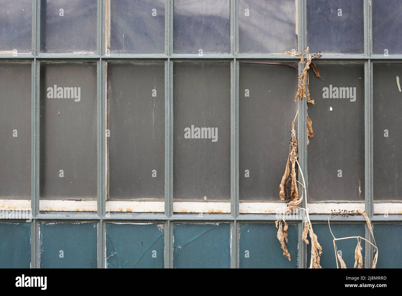 Vintage windows on the wall of an old abandoned factory Stock Photo - Alamy