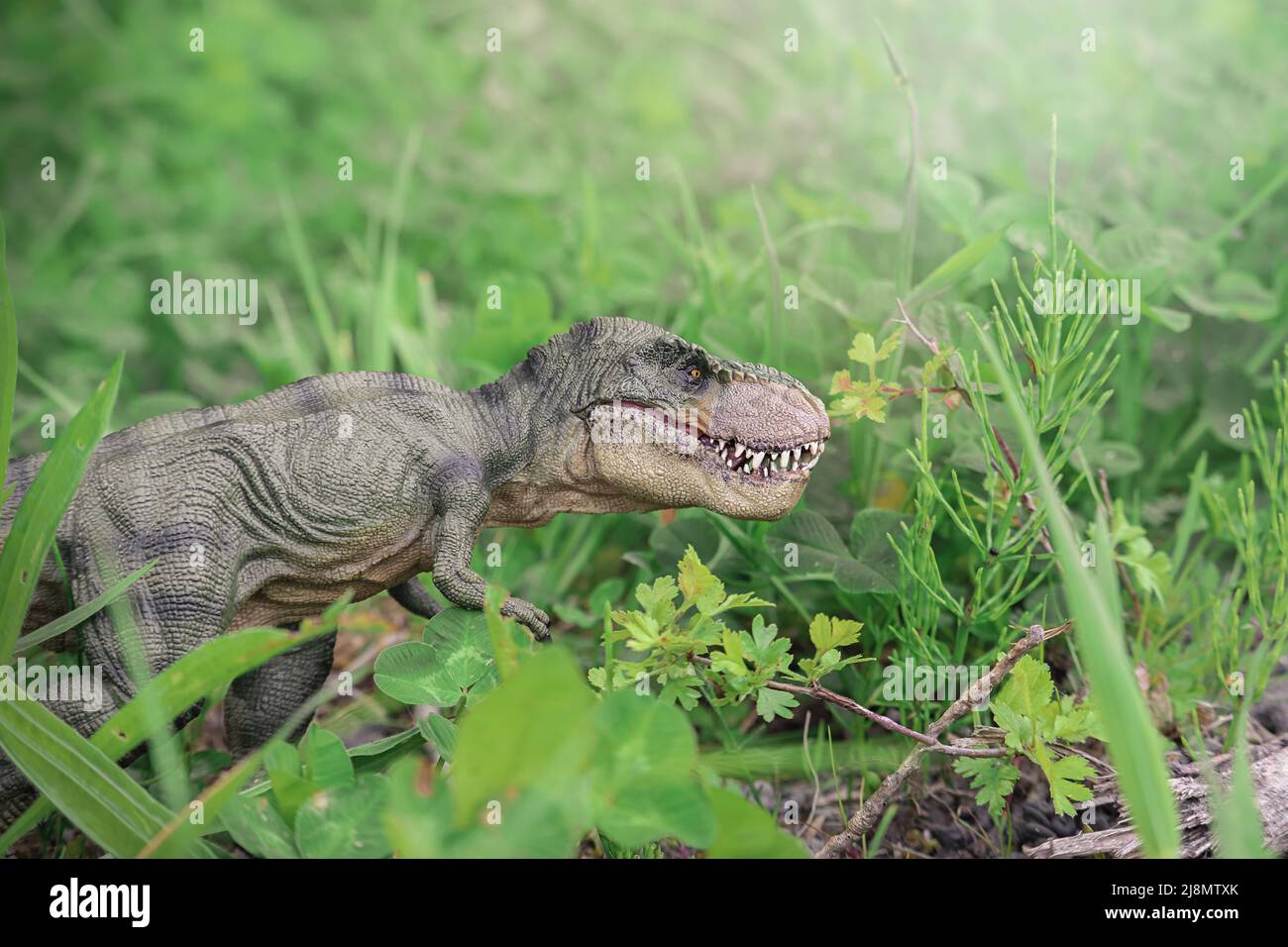 Jurassic park t rex hi-res stock photography and images - Alamy