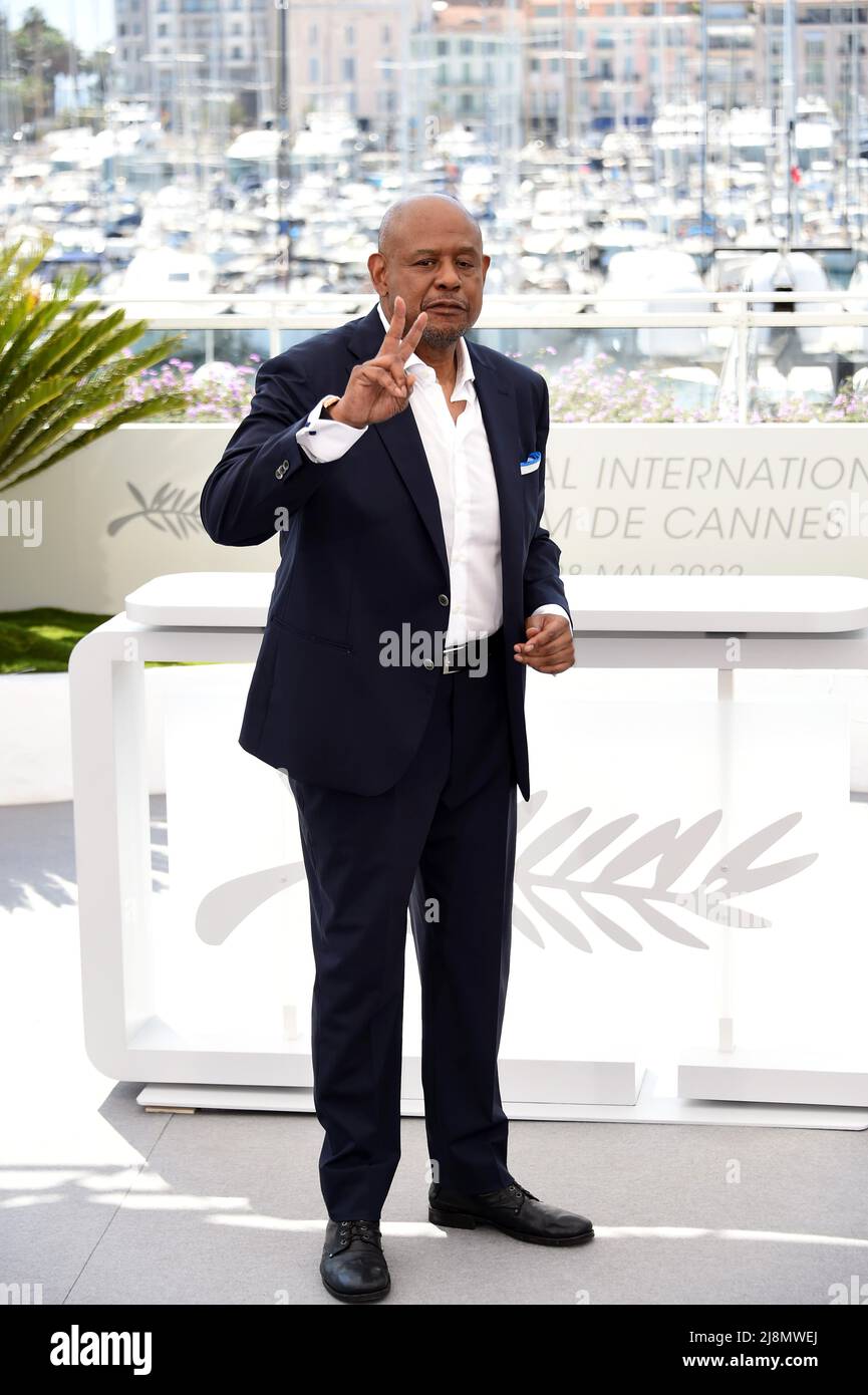 Cannes France 17th May 2022 75th Cannes Film Festival 2022 Photocall Palme Dor D Honneur