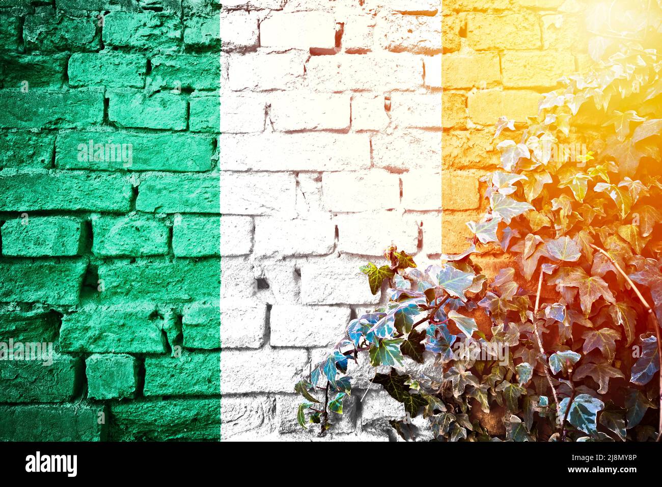Ireland grunge flag on brick wall with ivy plant sun haze view, country ...