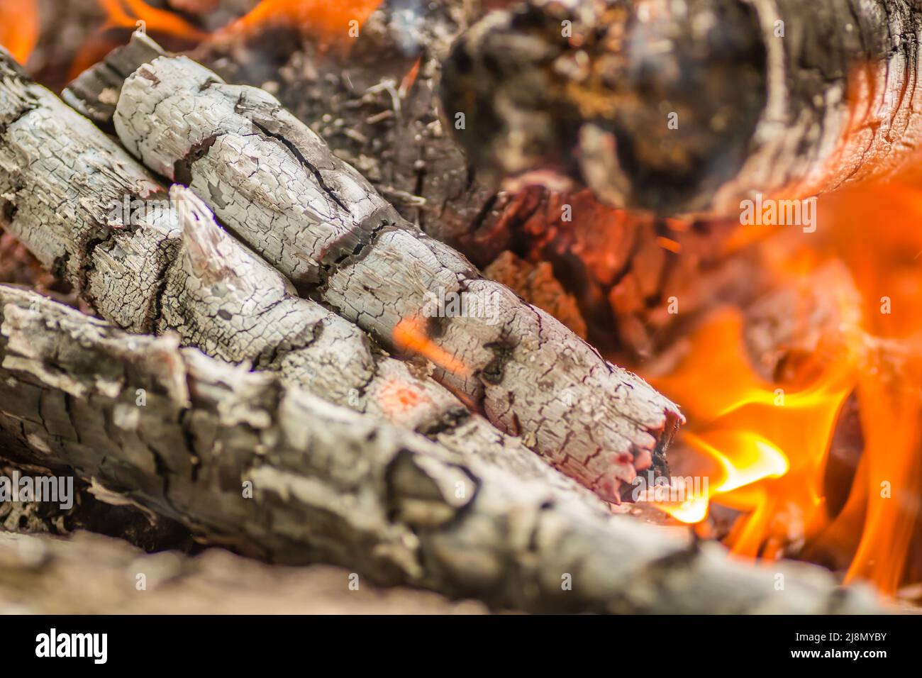 A close-up shot of pieces of logs and firewood, charcoal and ashes ...