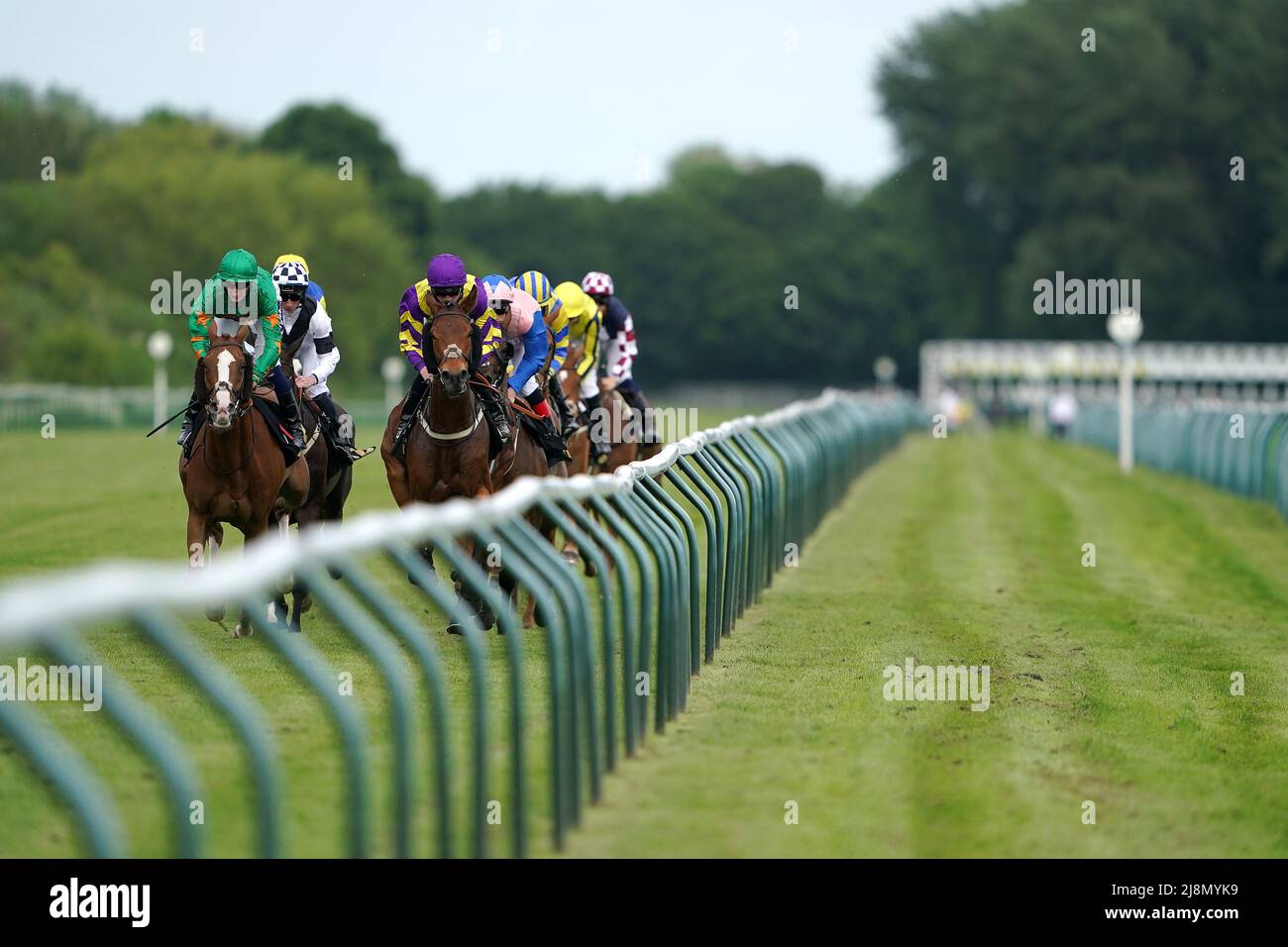 Runners and riders in the Racing TV Profits Returned to Racing Handicap ...