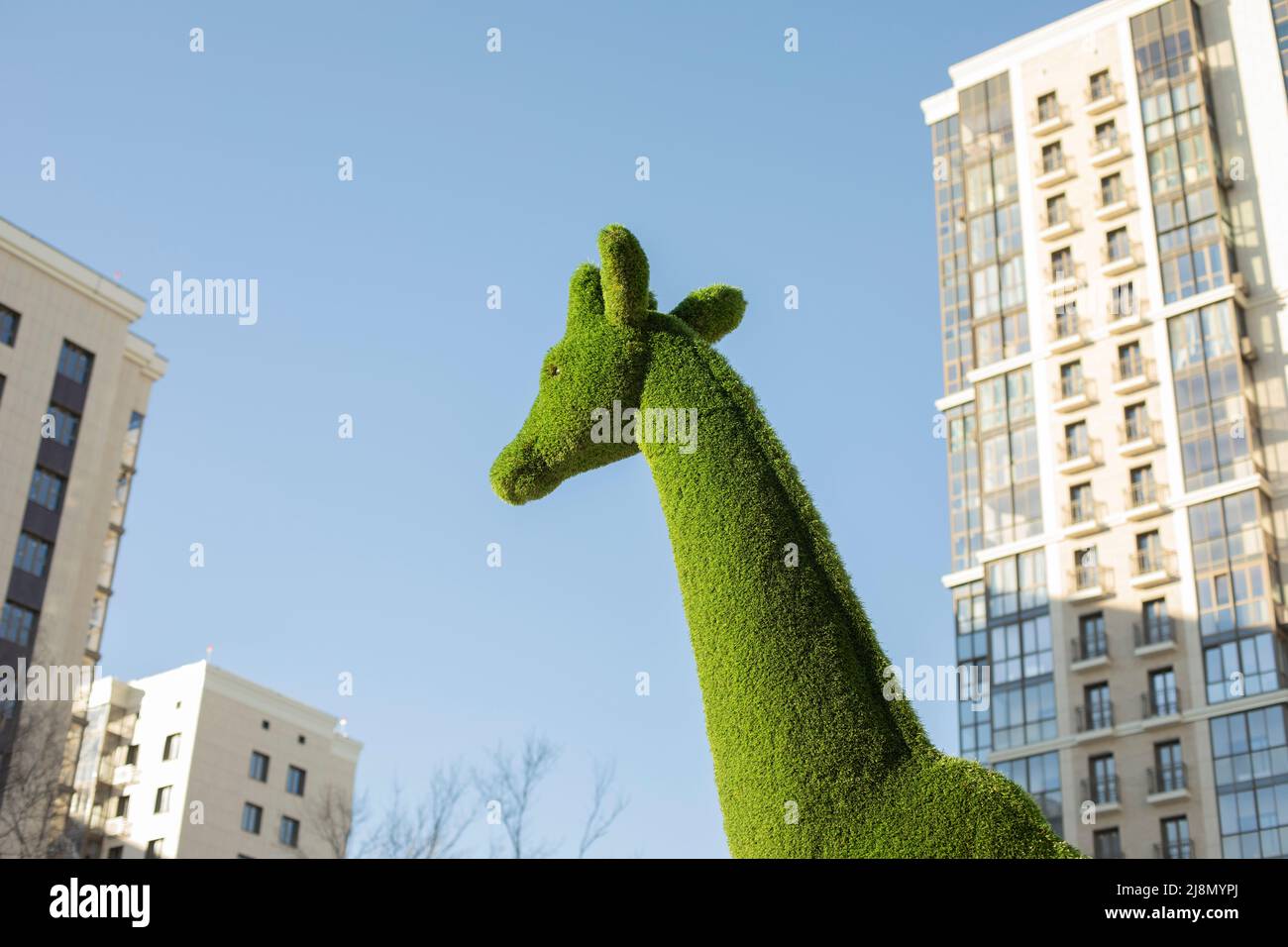 Figure of giraffe in playground. Giraffe made of green grass. Park ...