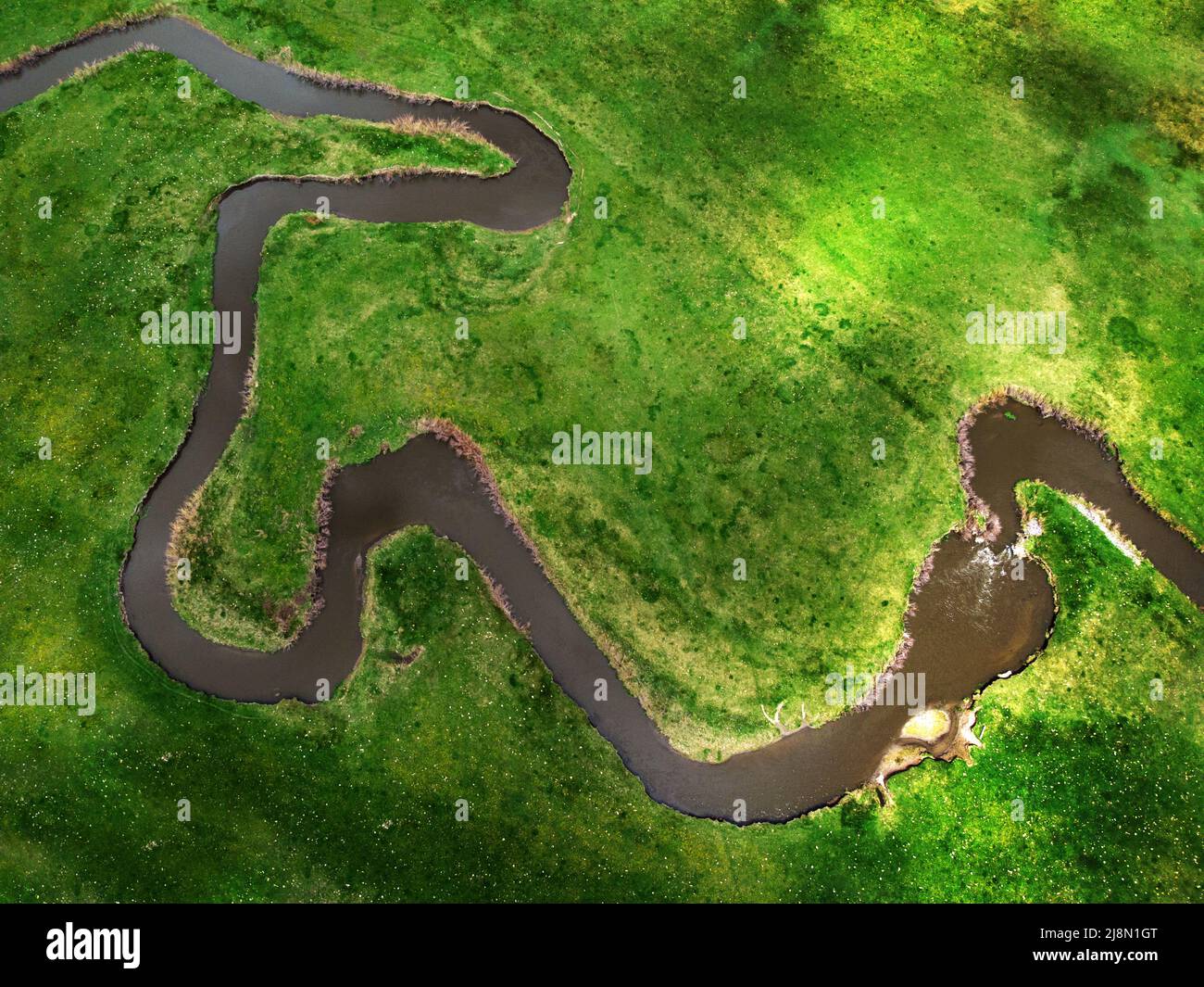 Aerial view from a drone of a creek or river flowing through a green ...