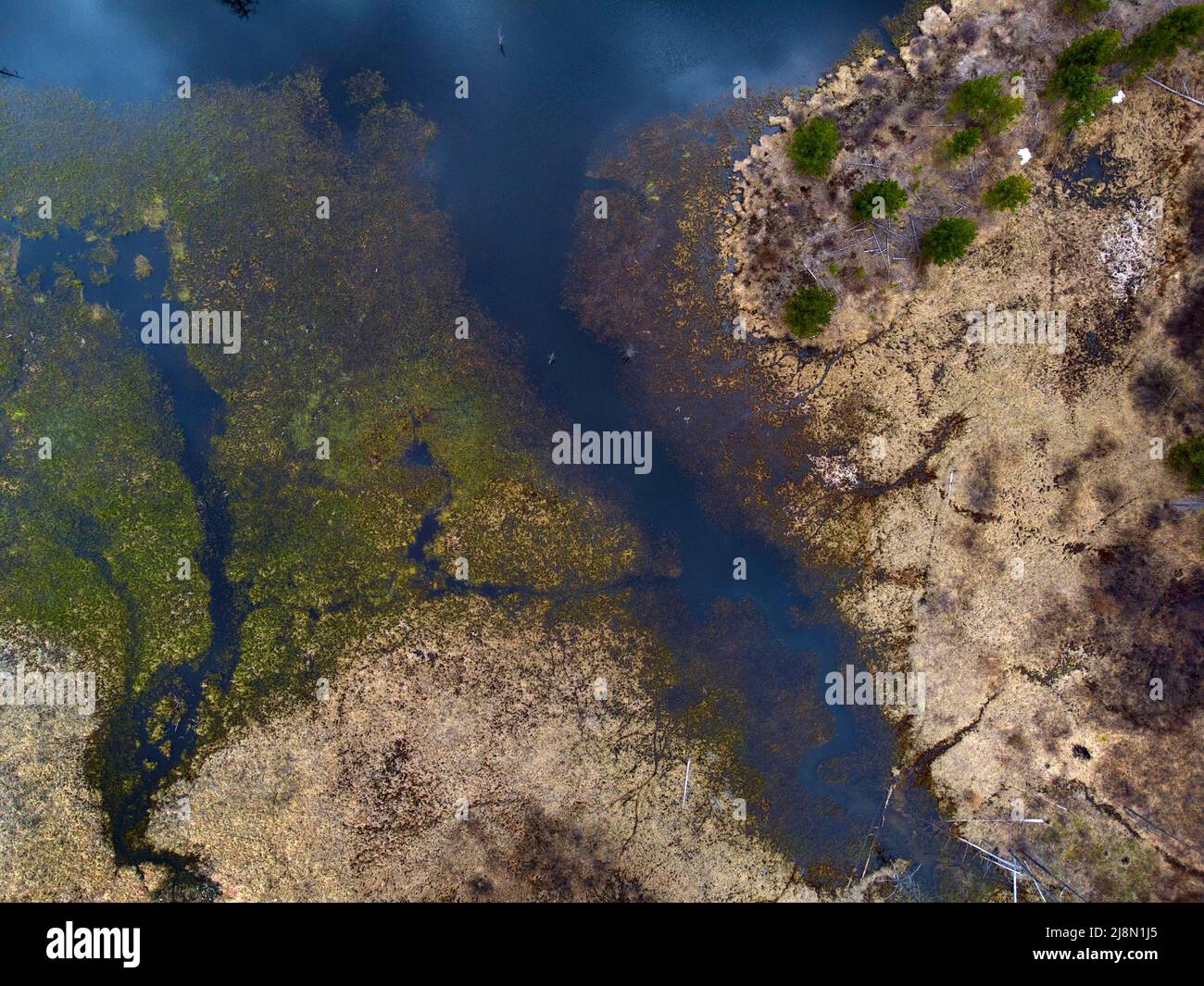 Aerial view from a drone flying above ponds and marshland wetlands with ...