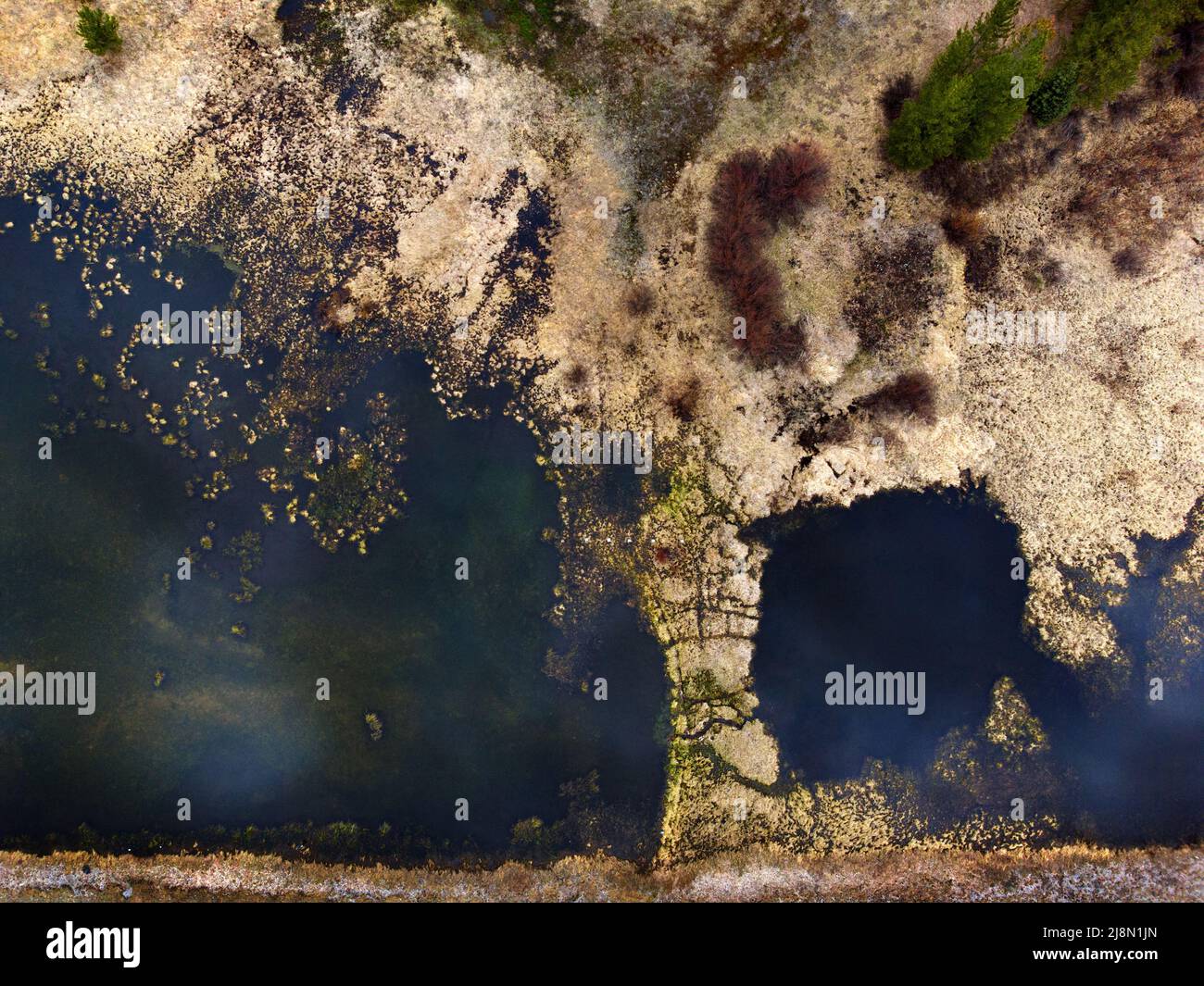 Aerial view from a drone flying above ponds and marshland wetlands with ...