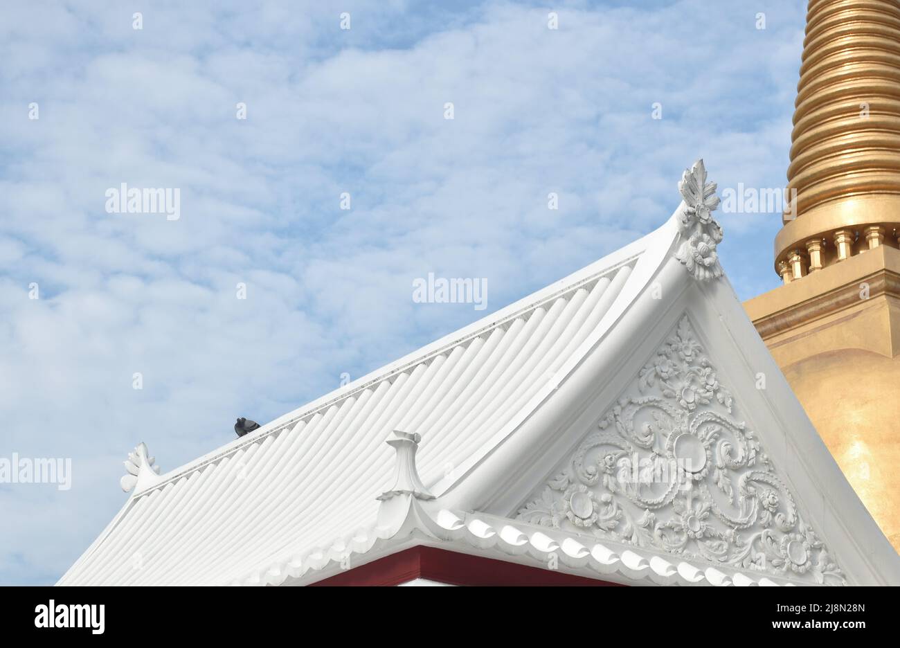 pigeon at white roof top at temple in Thailand Stock Photo - Alamy