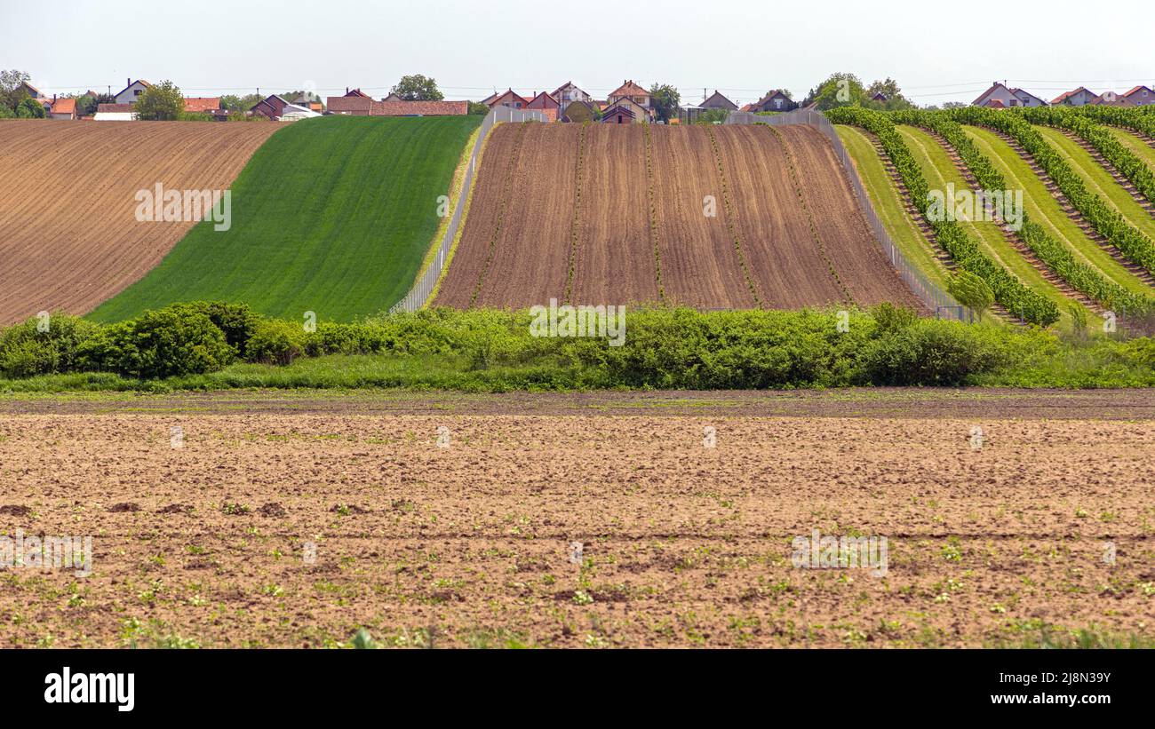 Crops Fields at Hill Sunny Spring Day Agriculture Stock Photo - Alamy