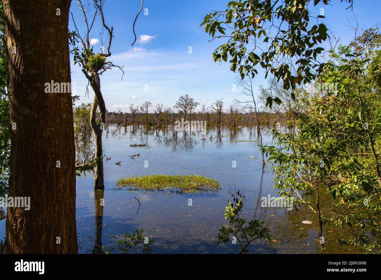 East Baray - water reservoir in Angkor Stock Photo - Alamy