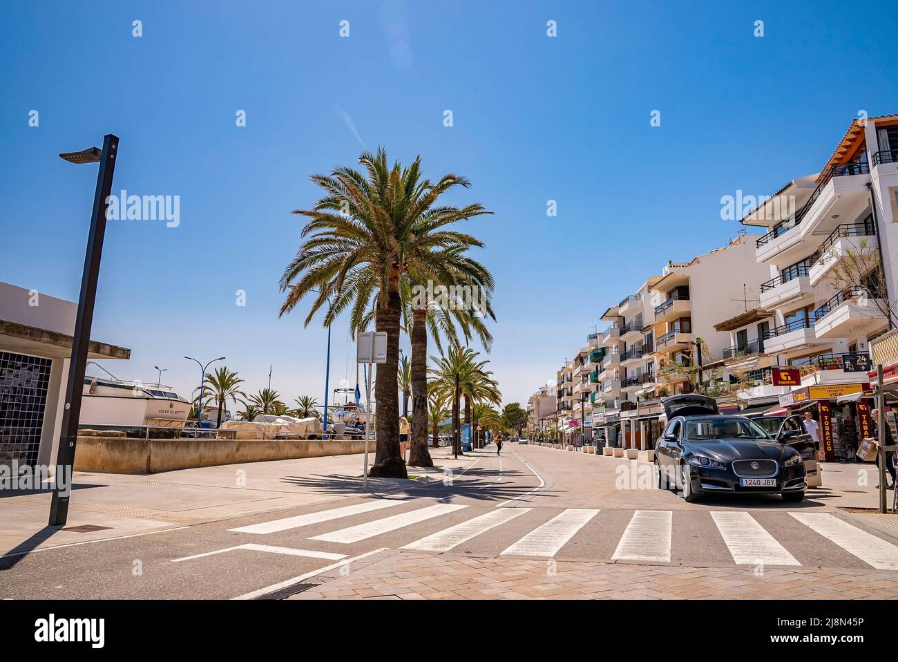 Streetside palm tree hi-res stock photography and images - Alamy