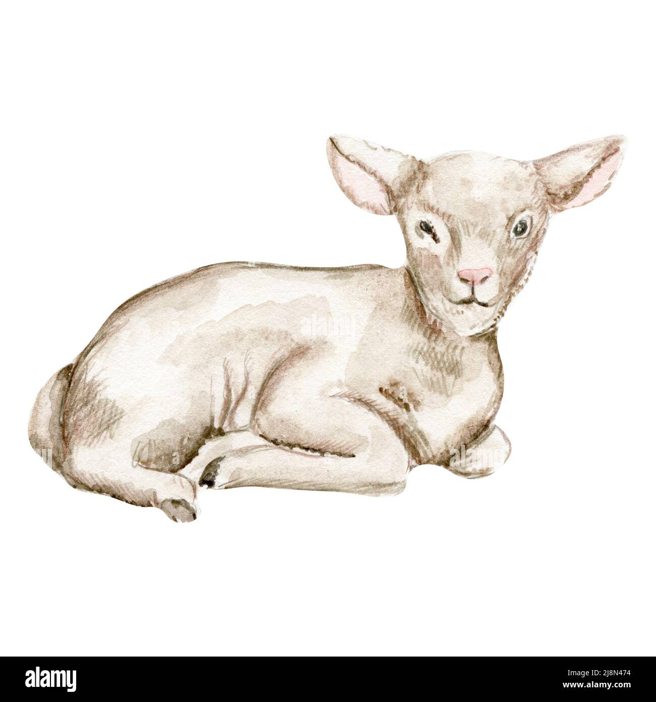 Cute farm animals Stock Photo - Alamy