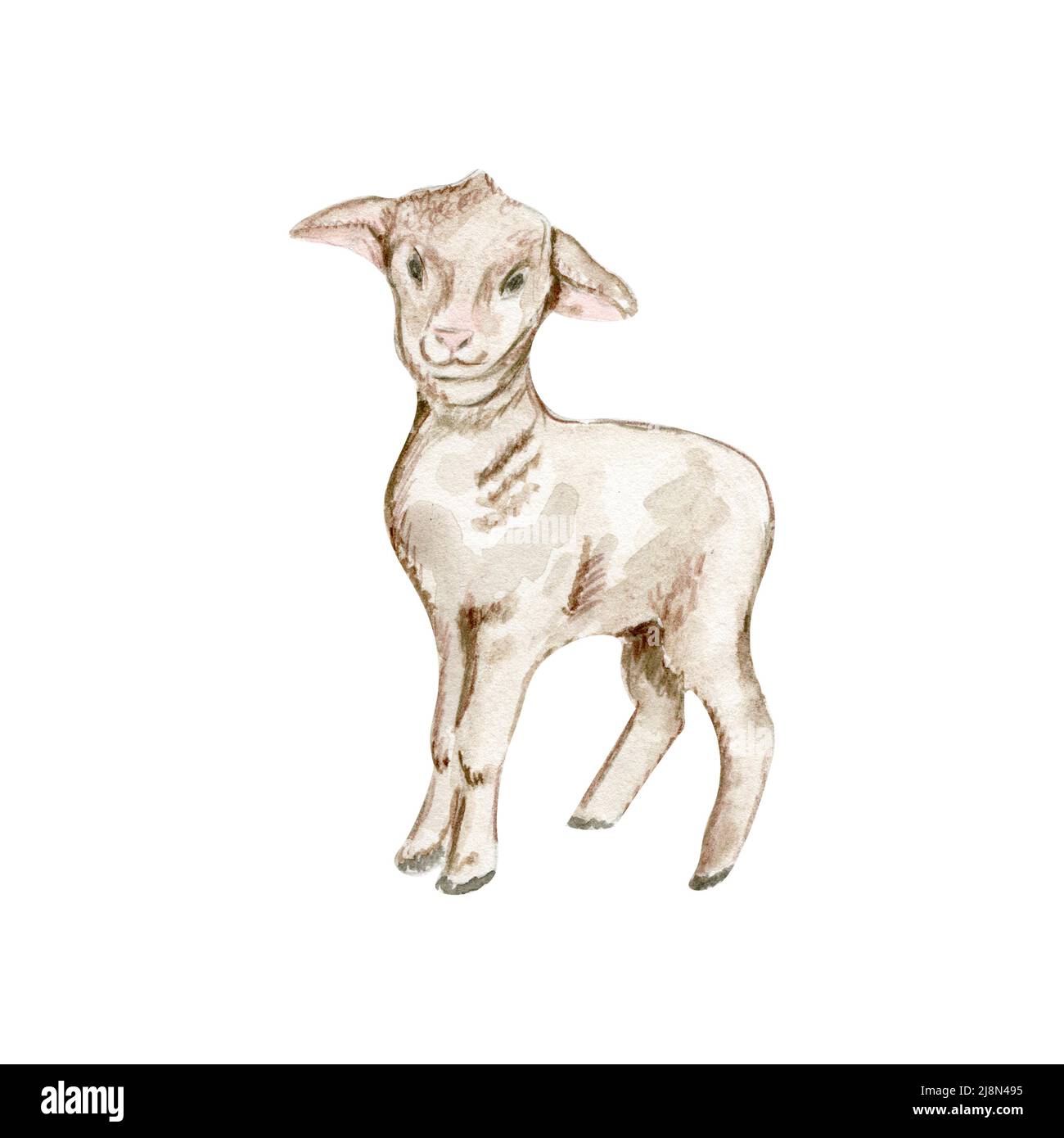 Cute farm animals Stock Photo - Alamy