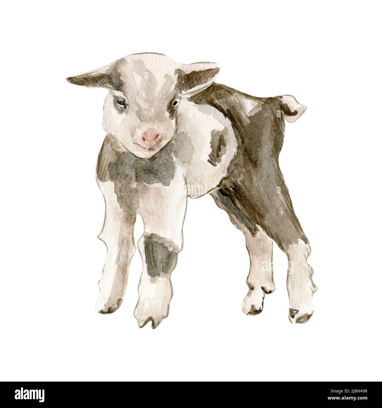 Cute farm animals Stock Photo - Alamy