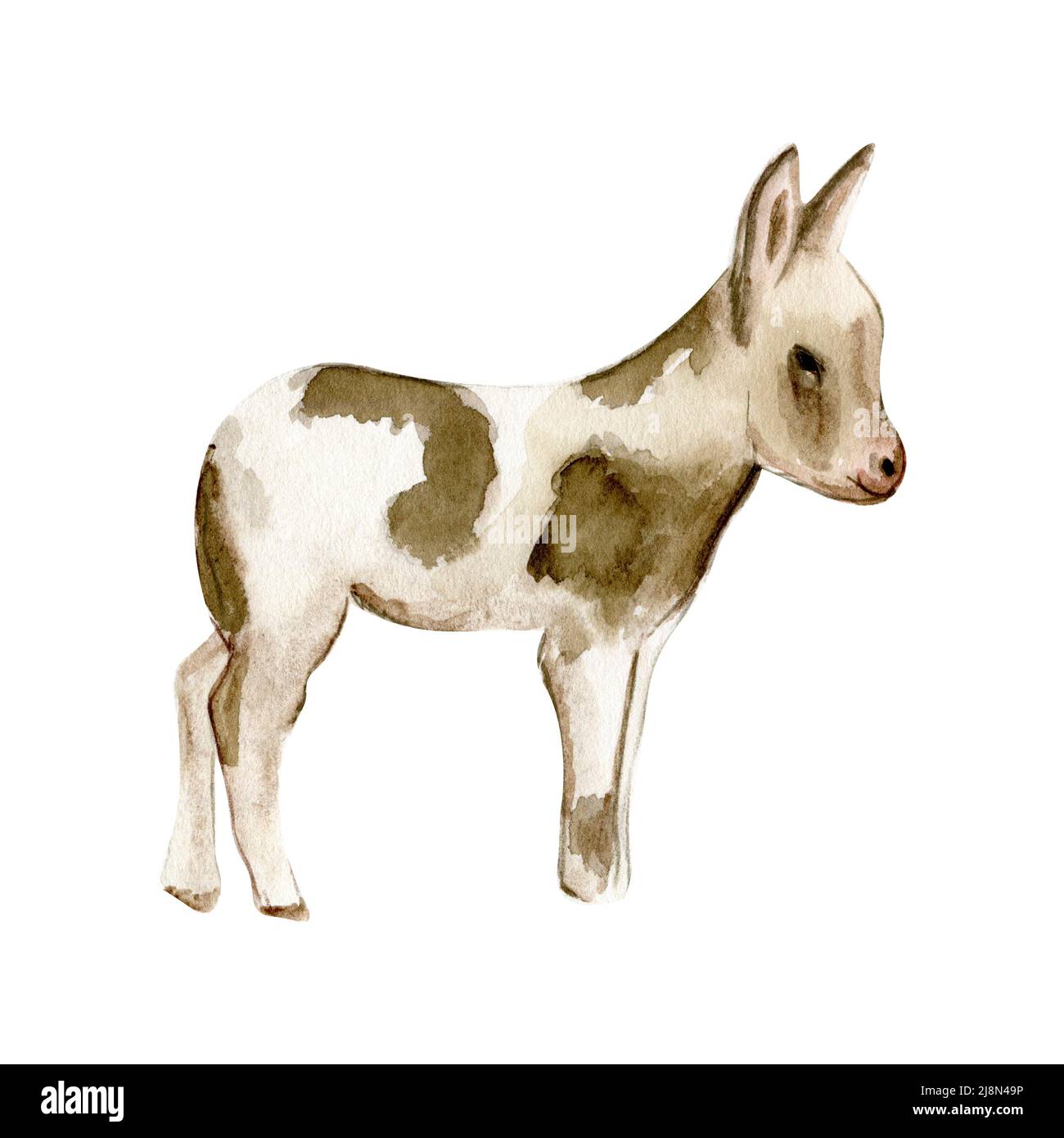 Cute farm animals Stock Photo - Alamy