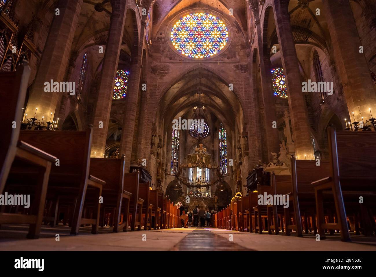 Low angle view of stained glass ceiling and pews at gothic La Seu ...