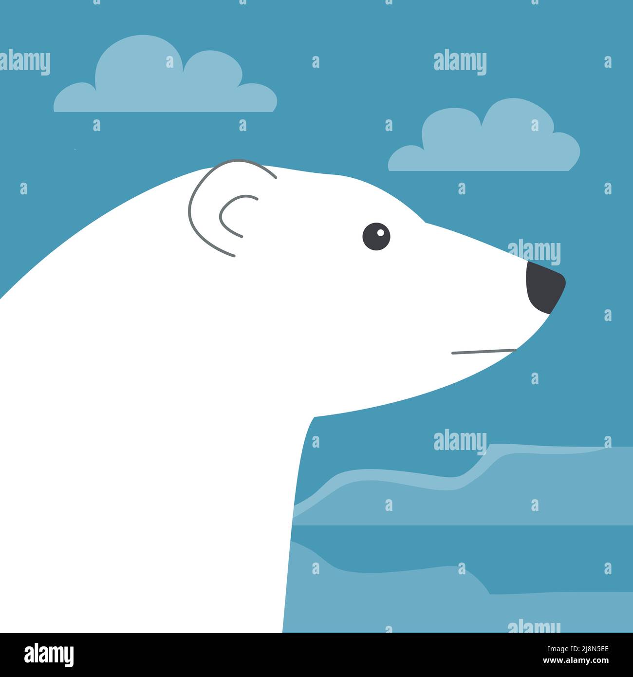 Big polar white bear. Head portrait. Wild mammal of the Arctic. Strong ...