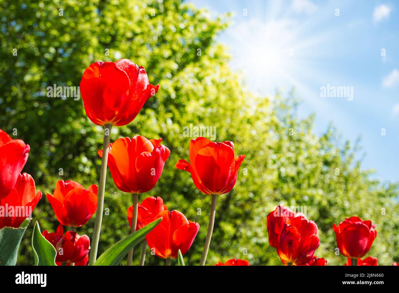 Beutifull view hi-res stock photography and images - Alamy