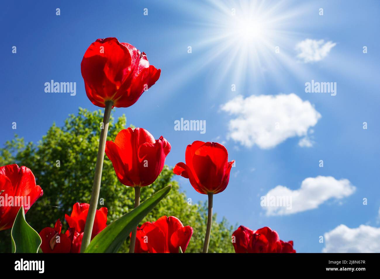 Beutifull view hi-res stock photography and images - Alamy